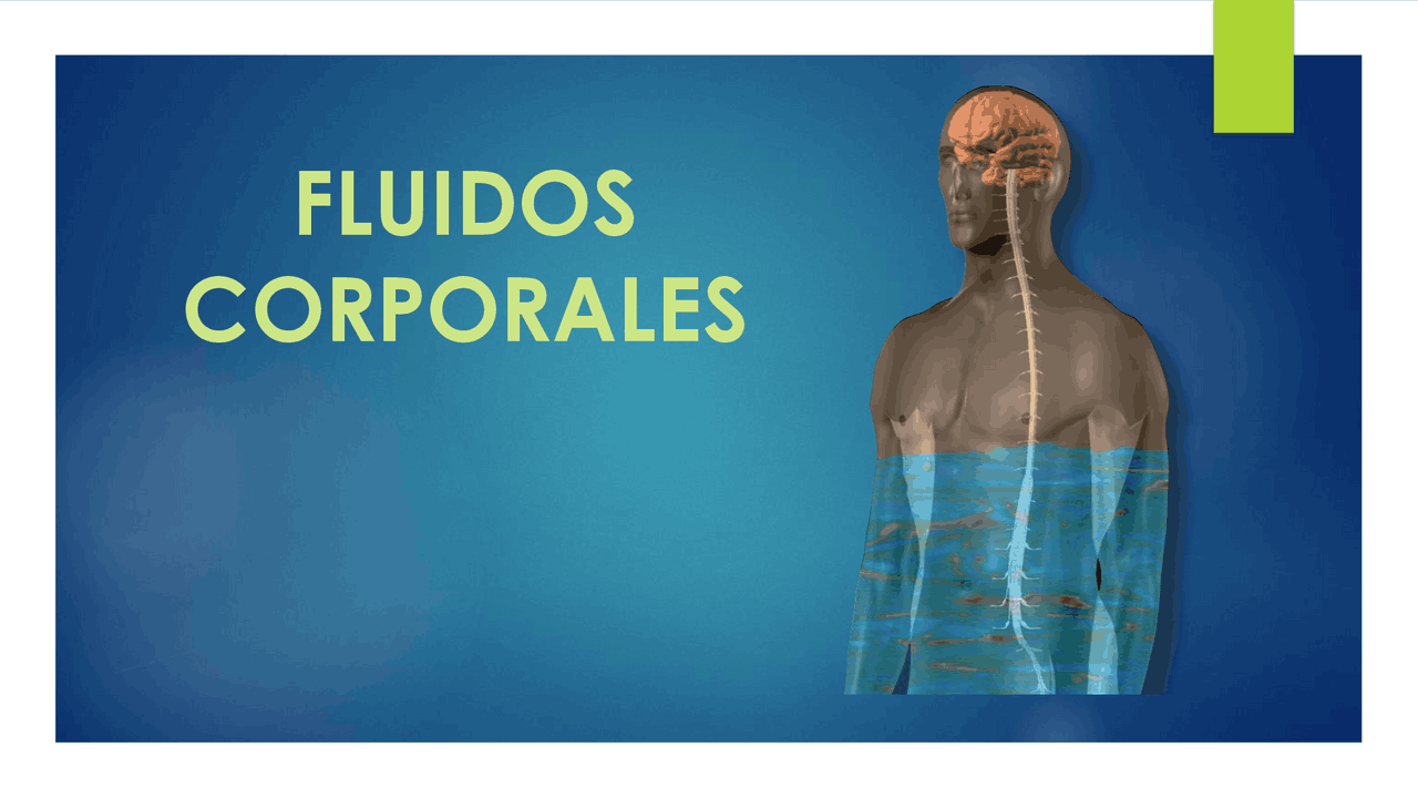 Los fluidos corporales | Diapositivas de Anatomía | Docsity
