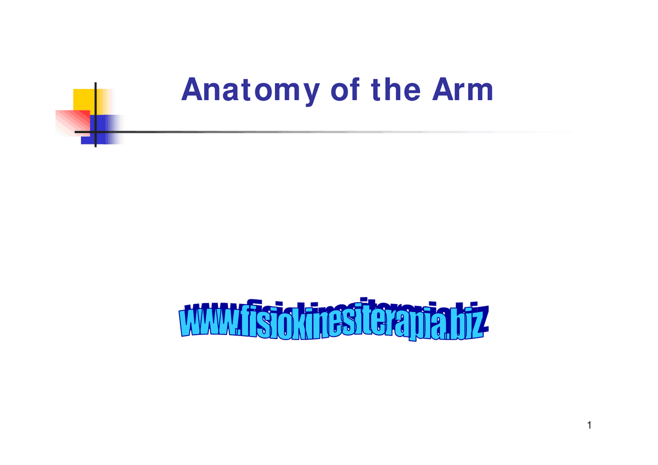 Understanding the Anatomy and Imaging Techniques of the Arm | Study ...
