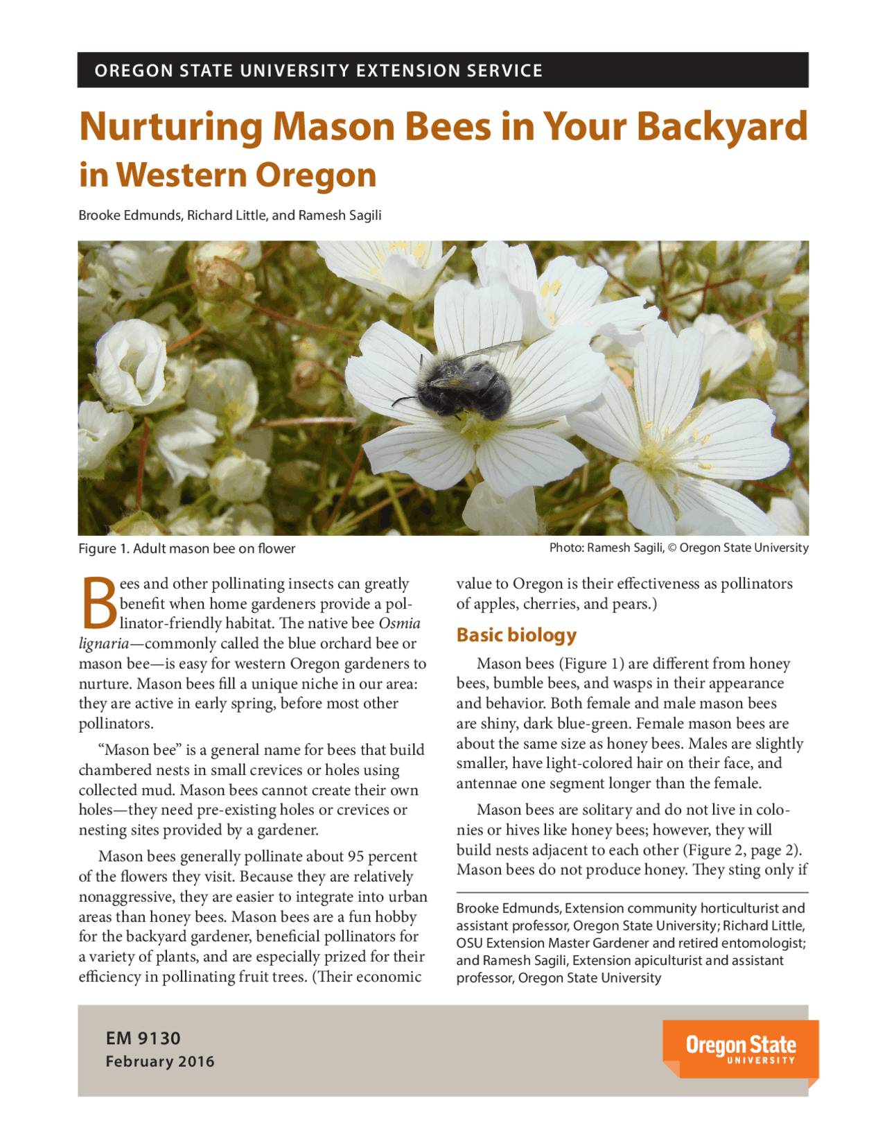 DECLARATION OF INTERESTS FOR WHO EXPERTS | Summaries Business ...