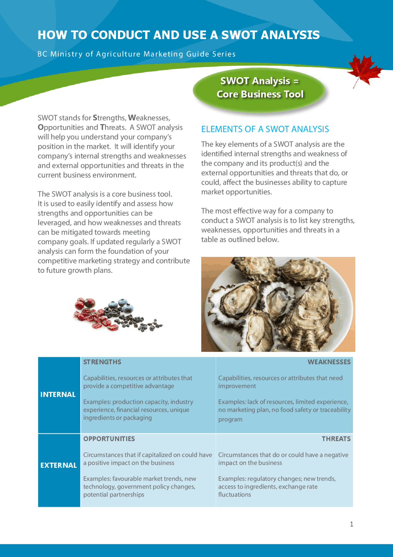 HOW TO CONDUCT AND USE A SWOT ANALYSIS | Lecture notes Business ...