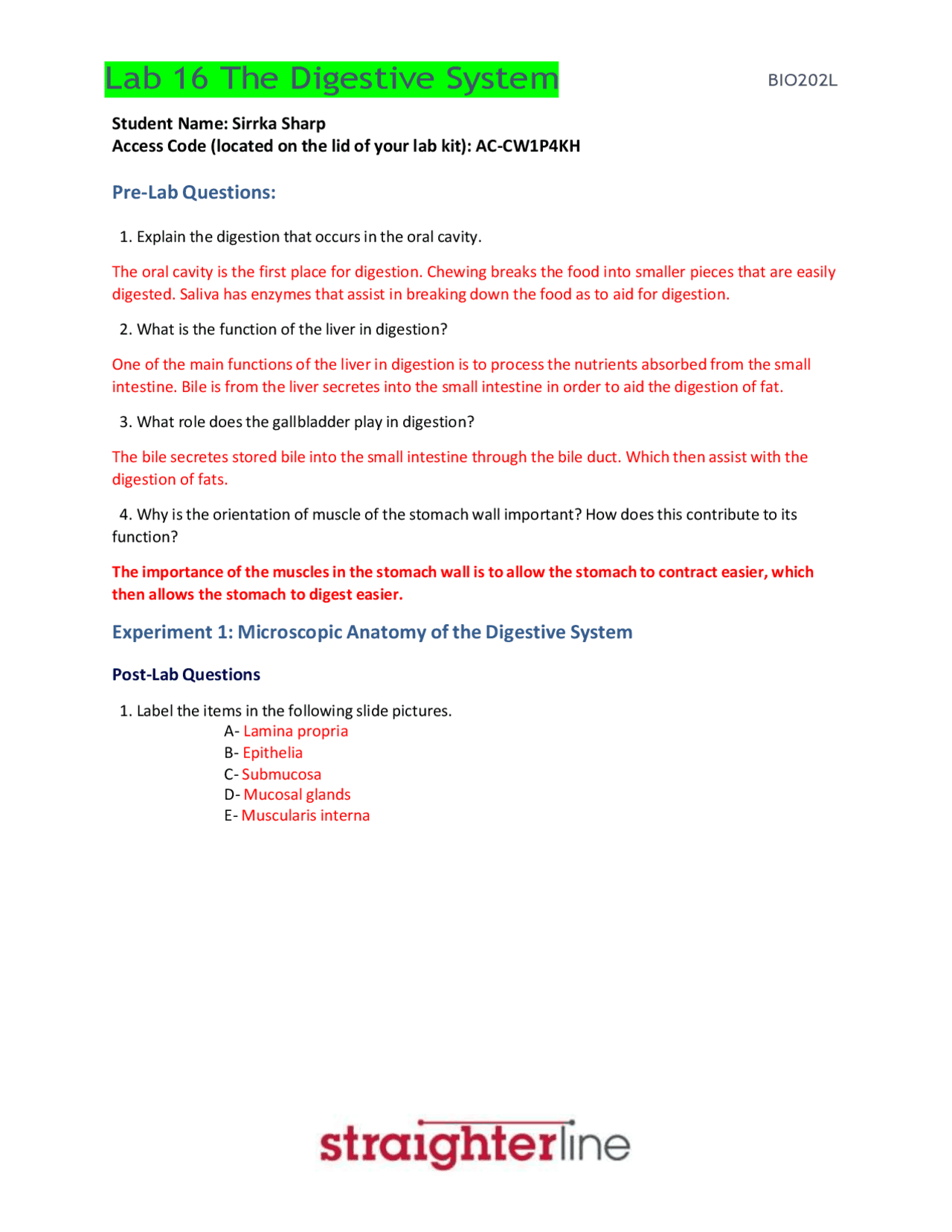 Lab 16 The Digestive System Exams Nursing Docsity