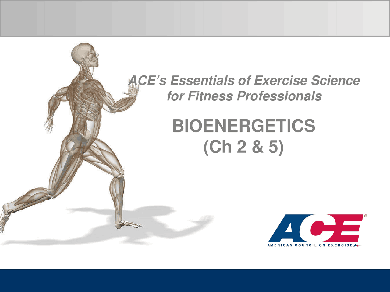 BIOENERGETICS (Ch 2 & 5) | Schemes and Mind Maps Biology | Docsity