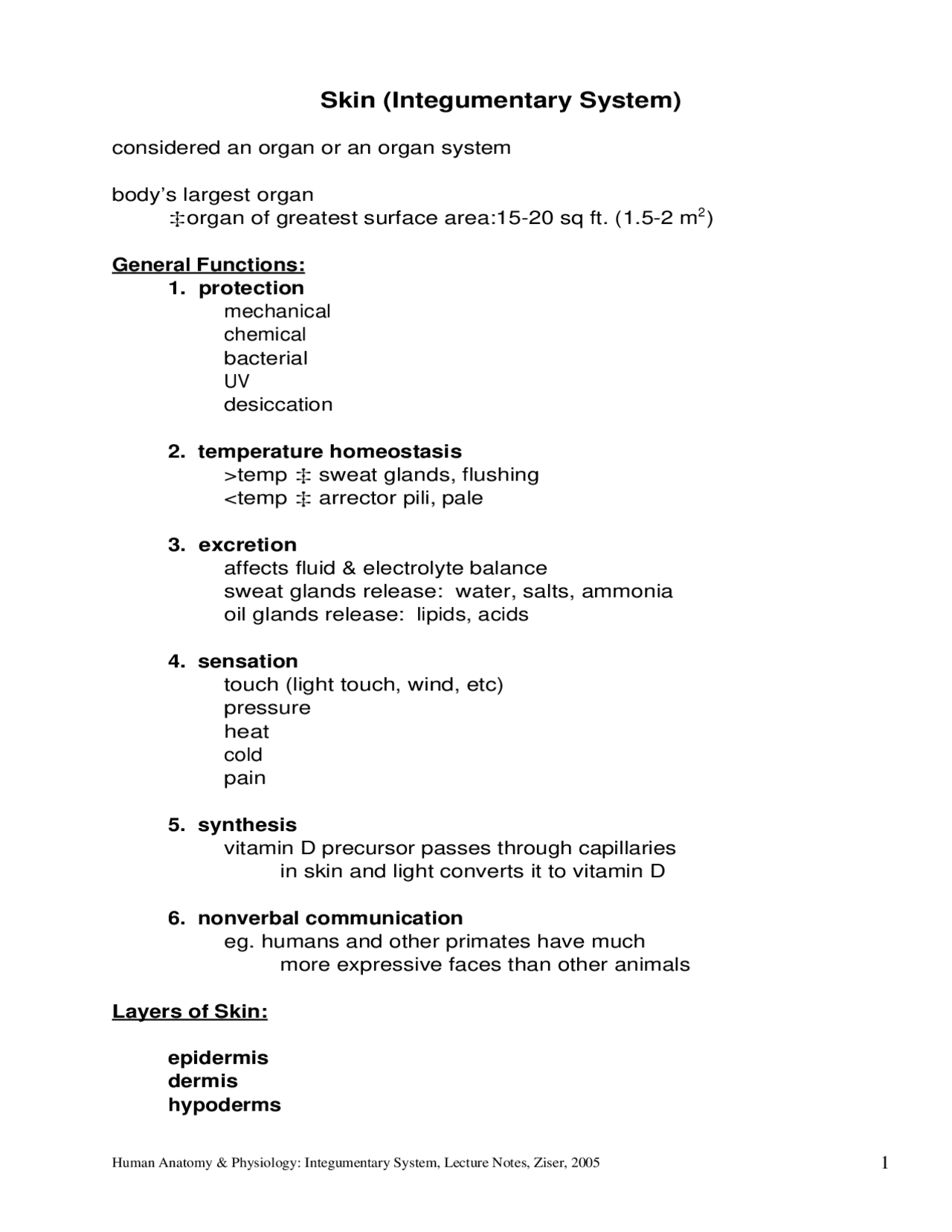 Skin (Integumentary System) | Slides Anatomy | Docsity