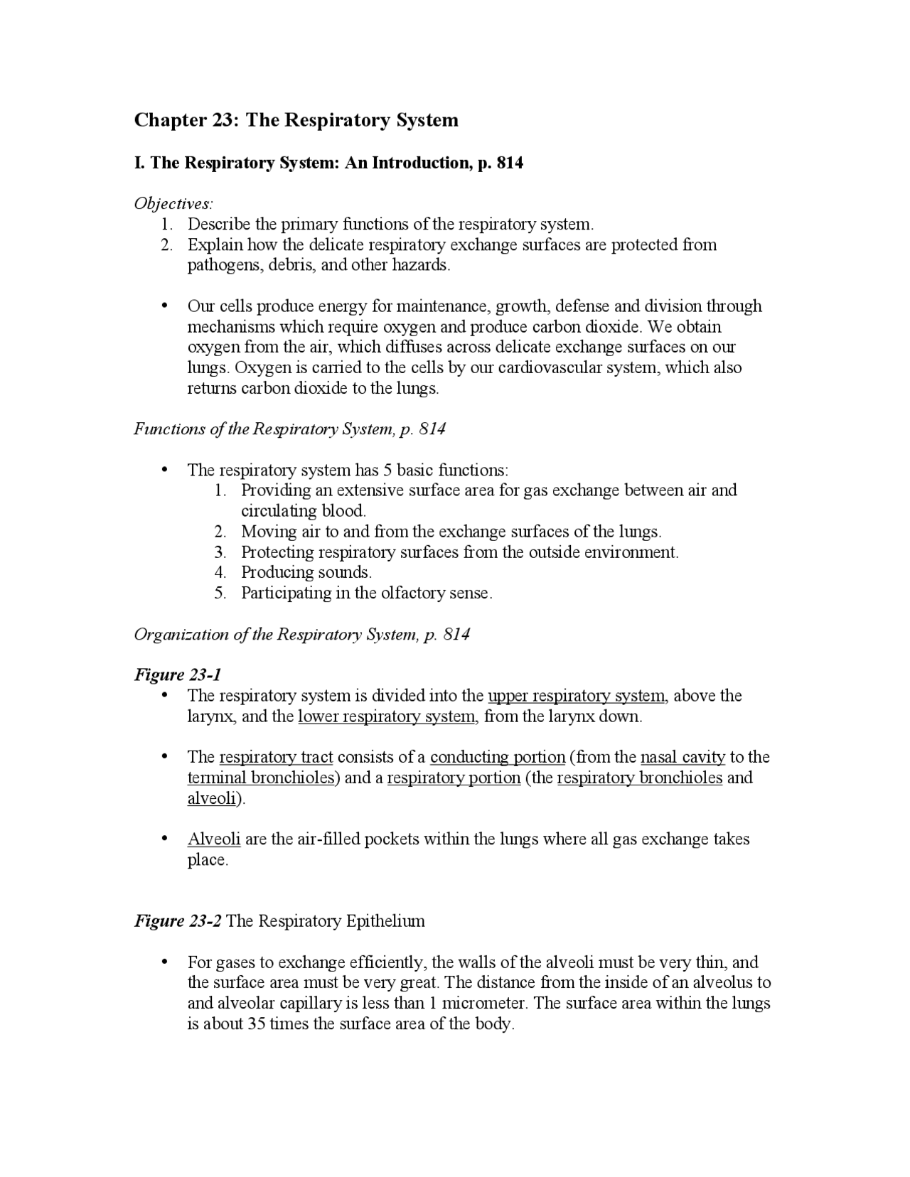 Chapter 23: The Respiratory System | Lecture notes Physiology | Docsity