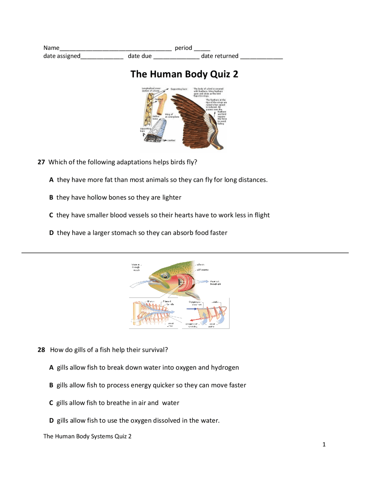 Human Body Systems Quiz 2: Biology Questions and Answers | Quizzes ...