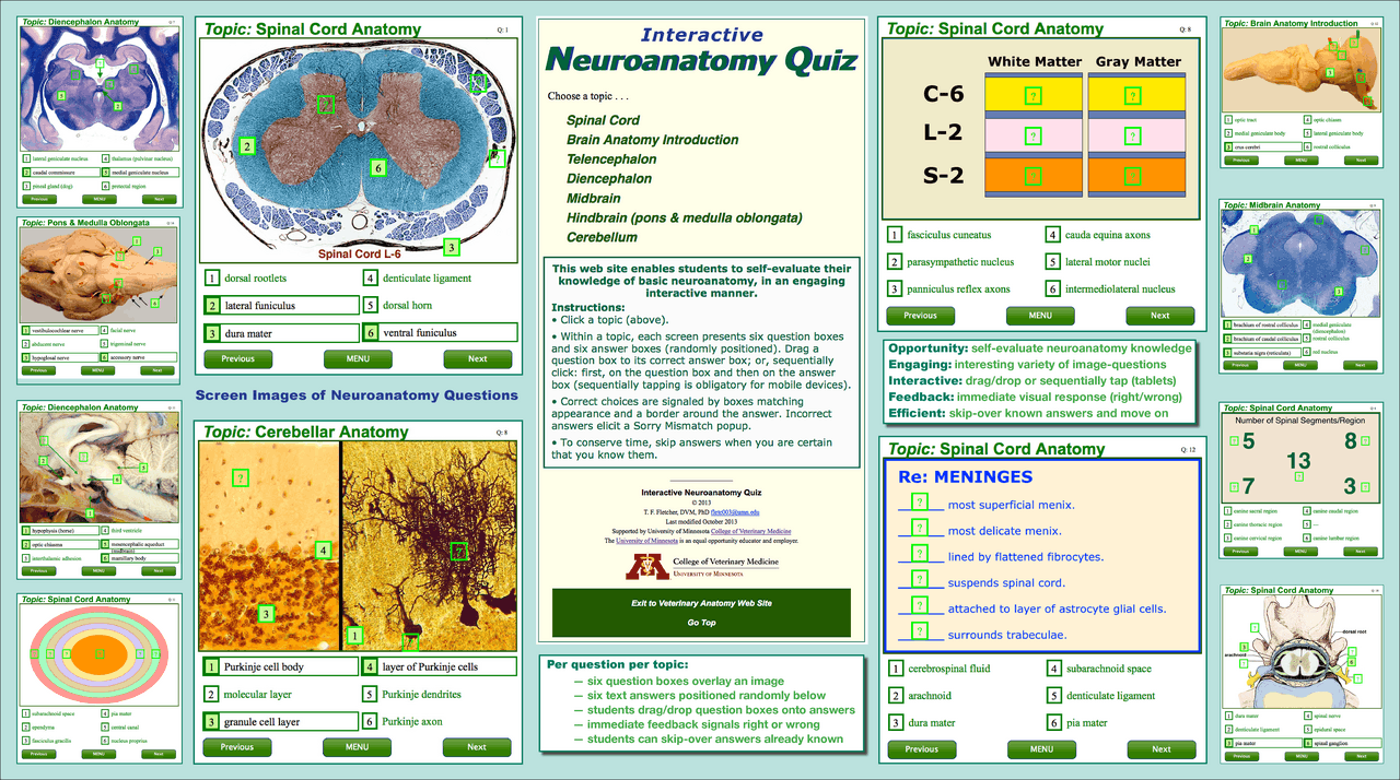 Screen Images of Neuroanatomy Questions - Docsity