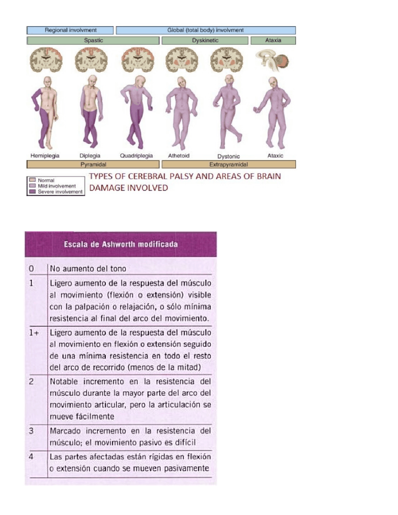 Escalas De Evaluación Schemes And Mind Maps Of Physiotherapy Docsity