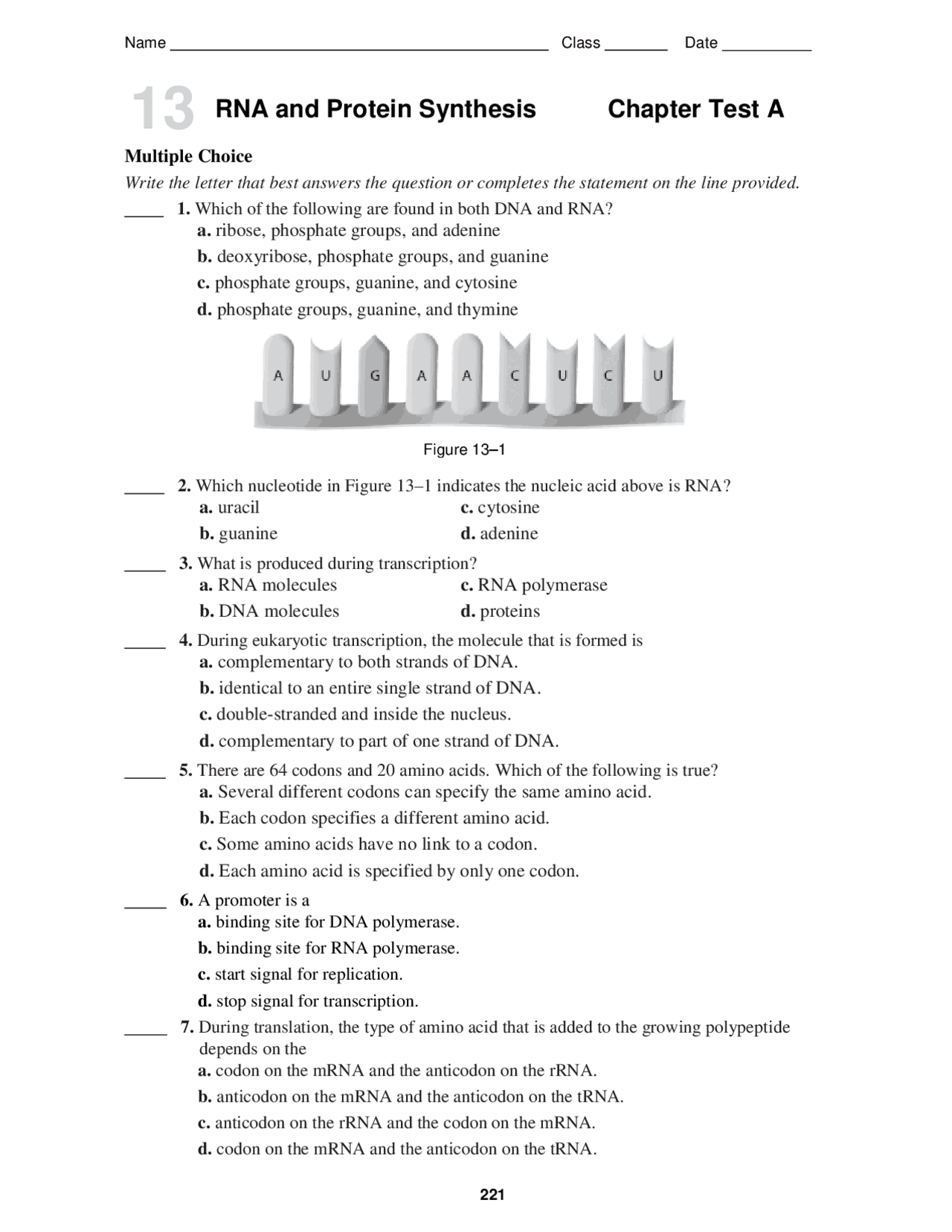 RNA and Protein Synthesis Chapter Test A | Schemes and Mind Maps ...