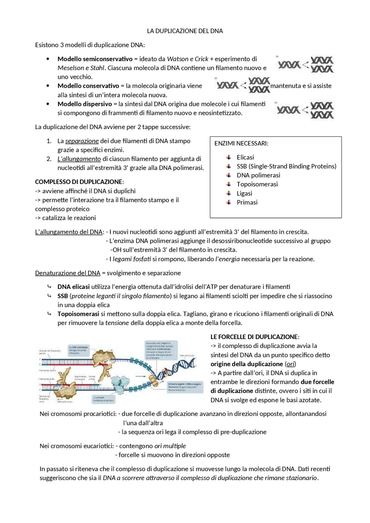 La duplicazione del DNA | Schemi e mappe concettuali di Biologia | Docsity