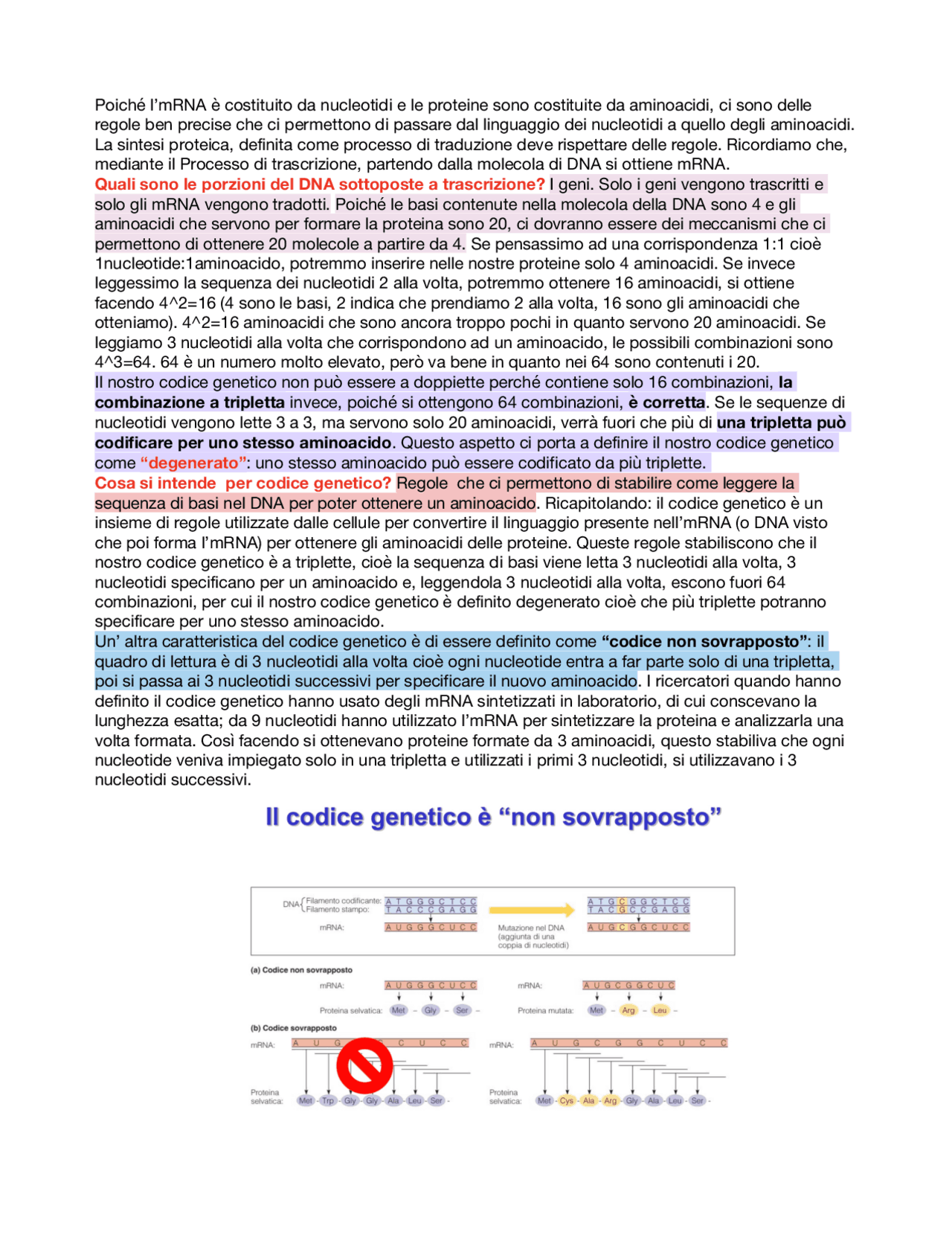 IL CODICE GENETICO, PROCESSO DI TRADUZIONE NEI PROCARIOTI | Appunti di ...