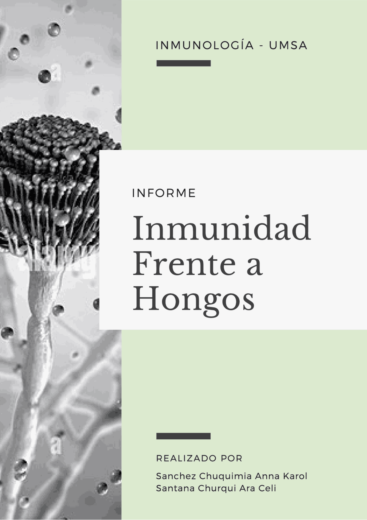 material inmunidad frente a hongos | Diapositivas de Inmunología | Docsity