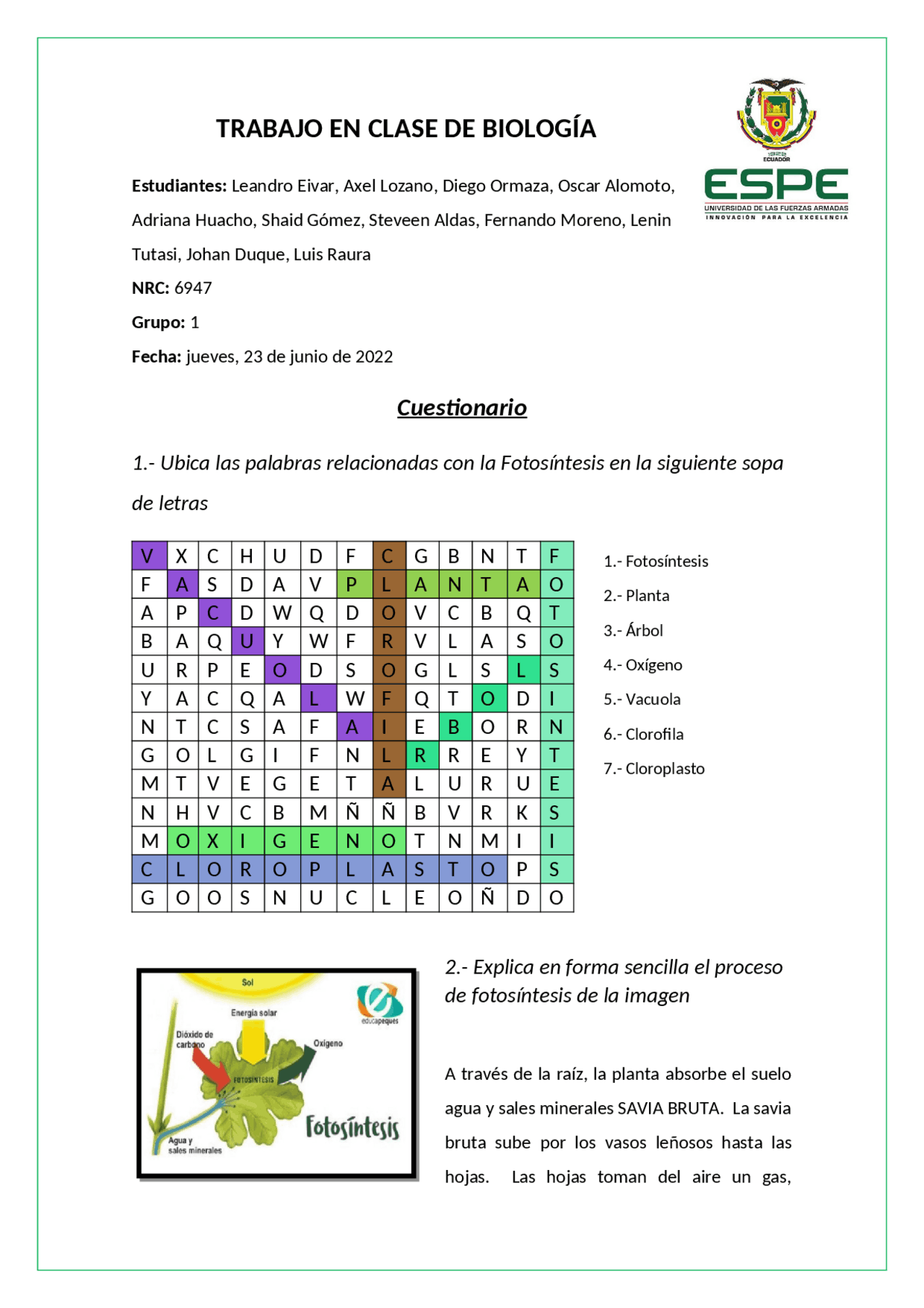 La Fotosíntesis Comienza Con Las Respuestas De La Hoja De Trabajo La