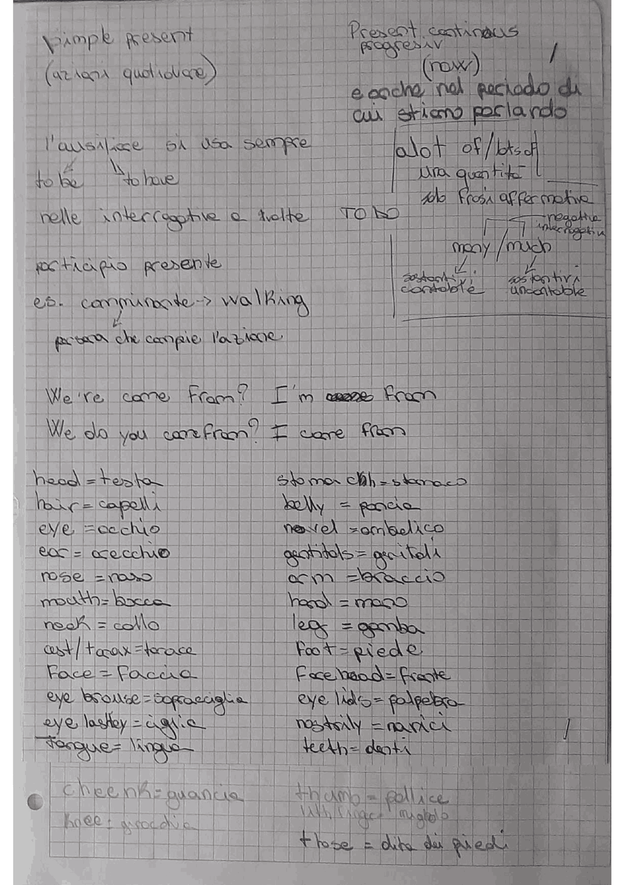Grammatica Inglese Docsity