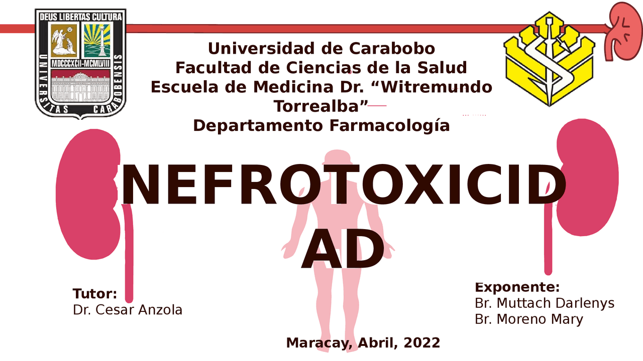 Seminario de Nefrotoxicidad - Farmacología médica | Diapositivas de ...