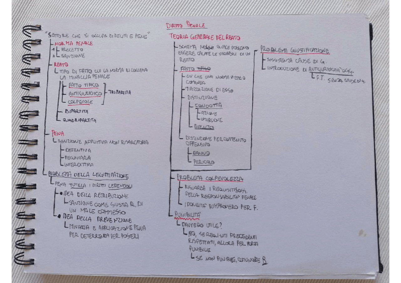 Schemi Diritto Penale Parte Generale Schemi E Mappe Concettuali Di