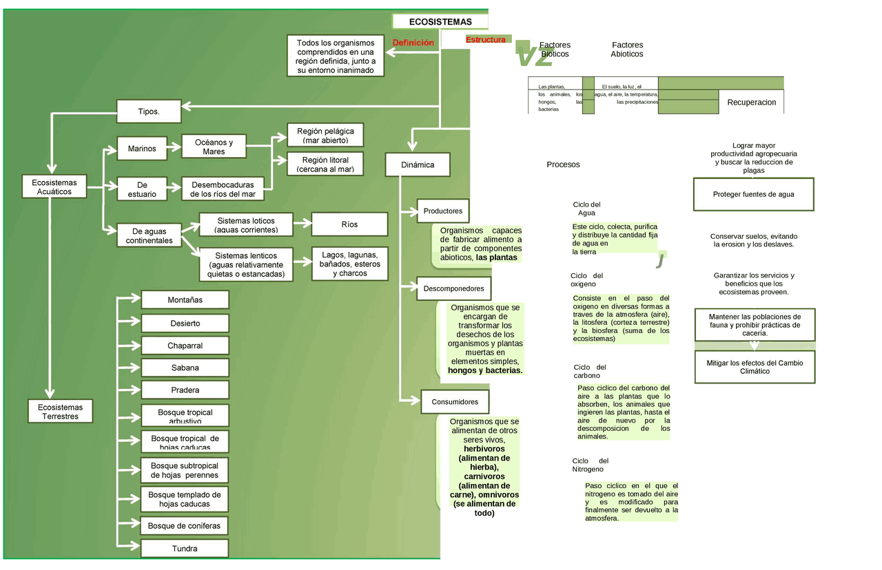 Mapas De La Ciencia Esquemas Y Mapas Conceptuales De Biología Docsity