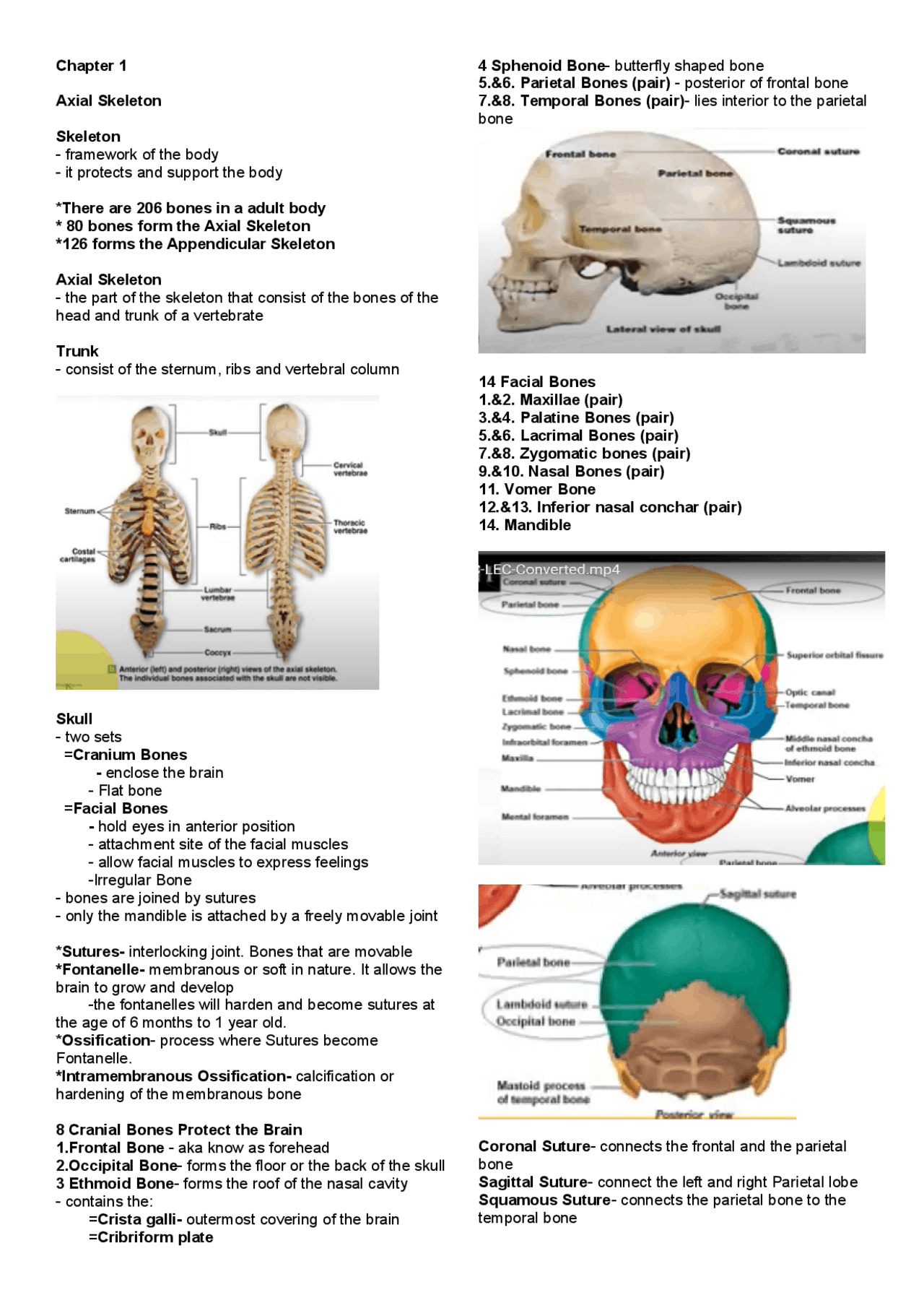 Anatomy and Physiology for 1st year Nursing | Study notes Anatomy | Docsity