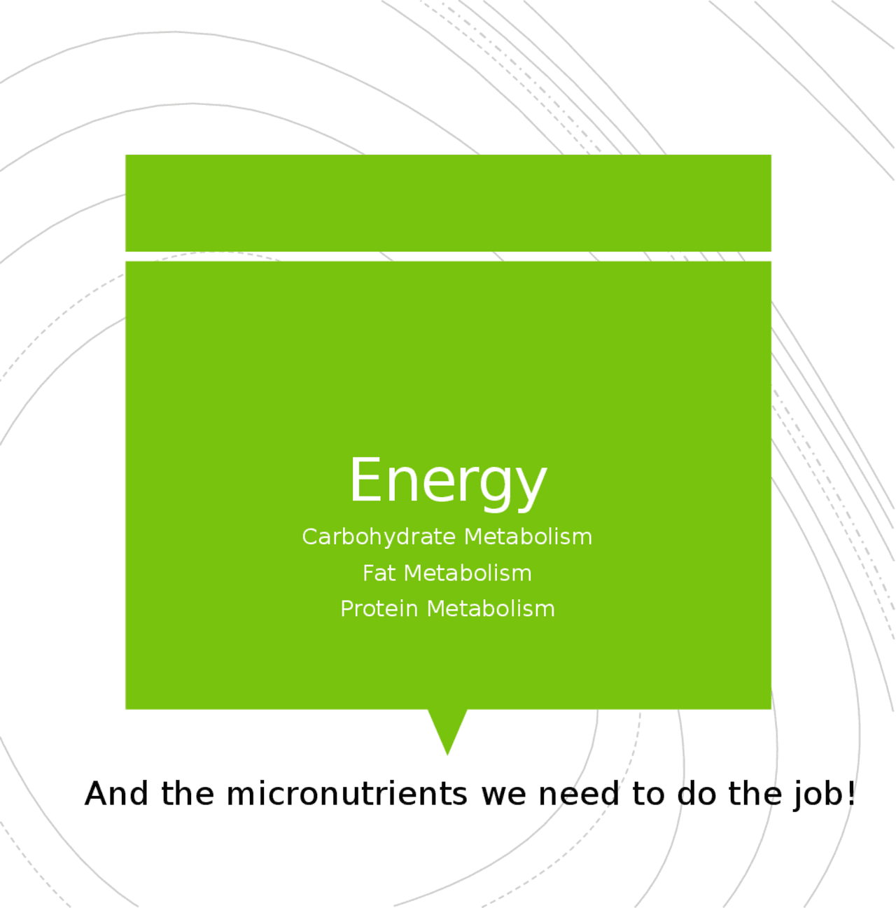 Exam 1 Review Powerpoint Docsity