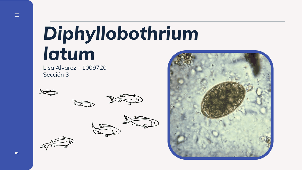 Diphyllobothrium latum | Diapositivas de Parasitología | Docsity