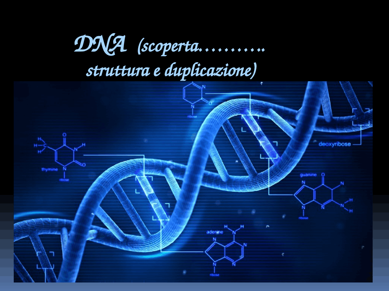 POWER POINT SUL DNA | Schemi e mappe concettuali di Scienze della Terra ...