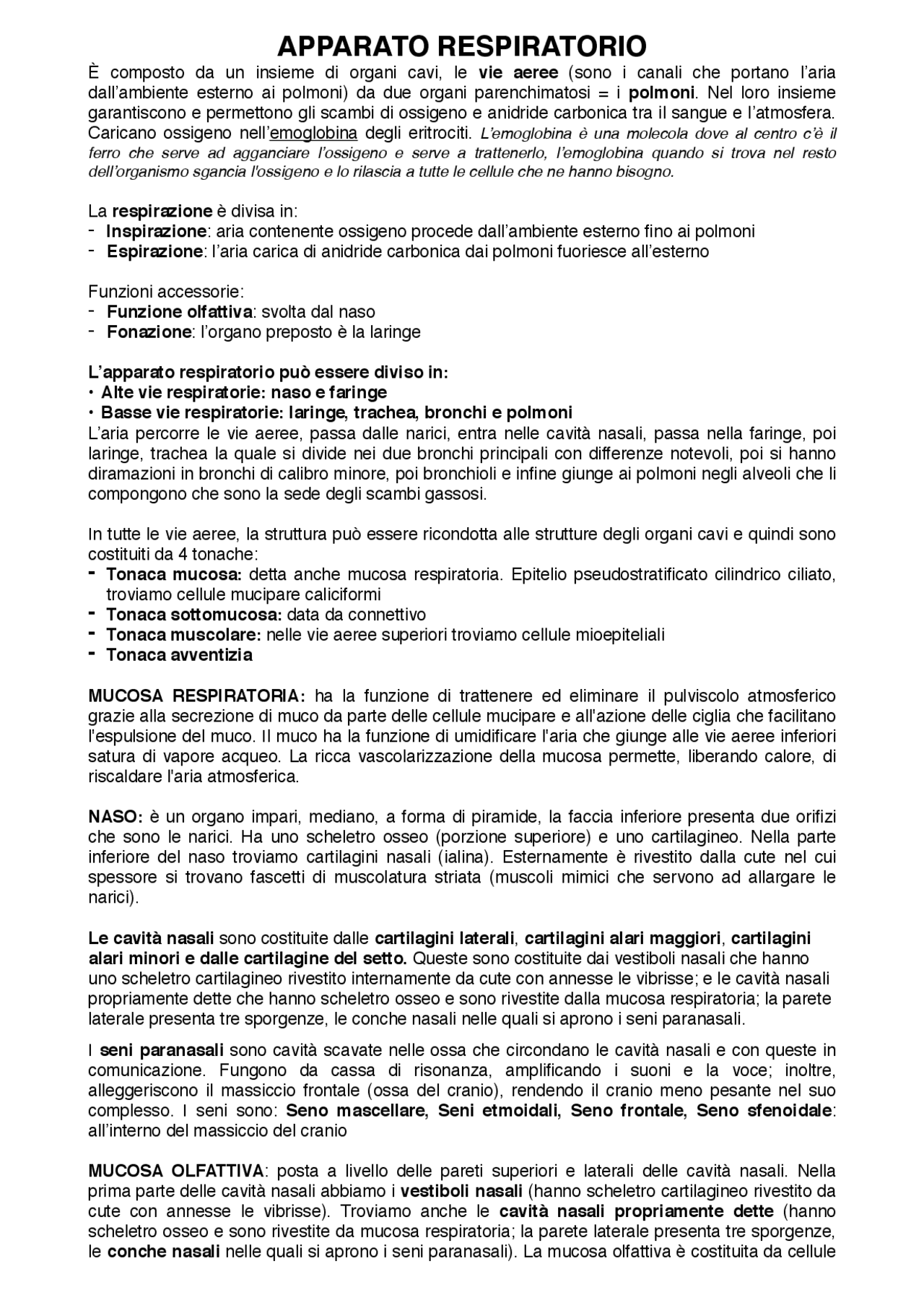Apparato Respiratorio Esquemas De Anatomia Docsity