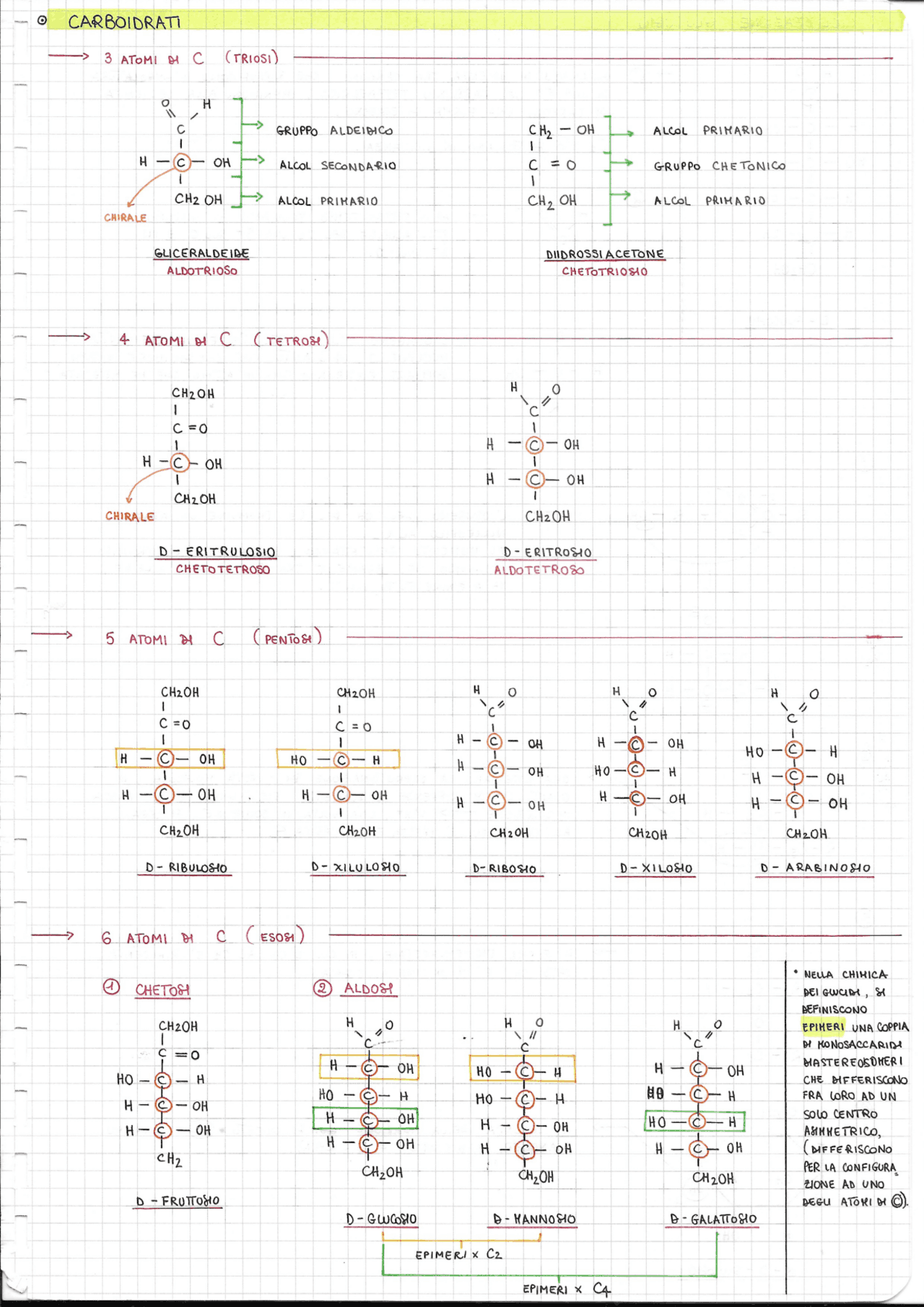 Schemi Sui Carboidrati Schemi E Mappe Concettuali Di Biochimica Docsity