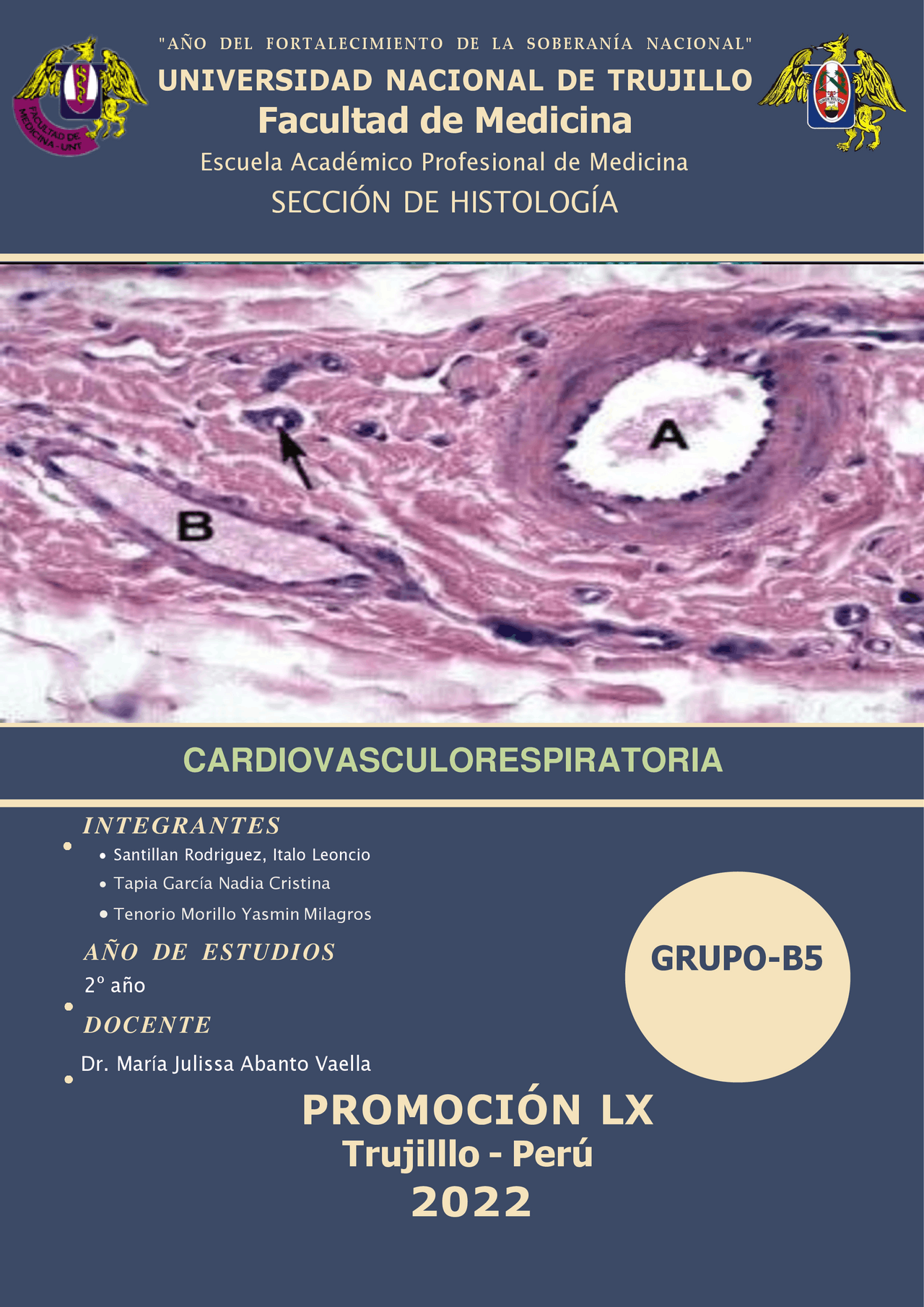 Histología Del Endotelio Vascular