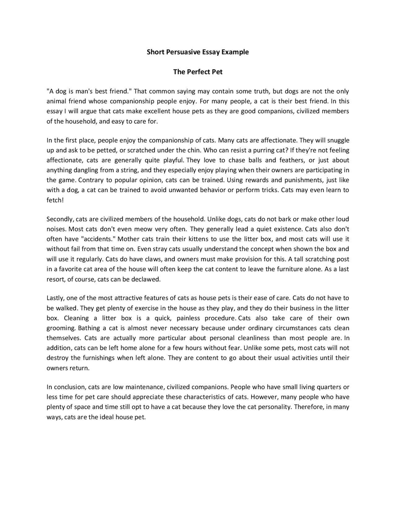 Short Persuasive Essay Example (PDF) | Study notes Business Ethics ...