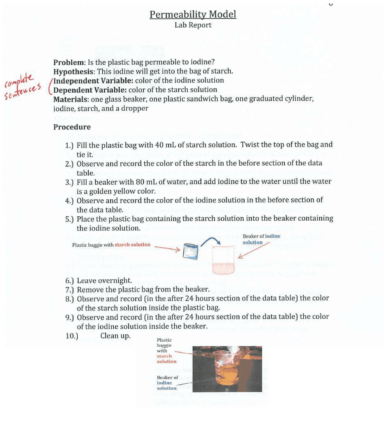 Permeability Model | Schemes and Mind Maps Chemical Experimentation | Docsity