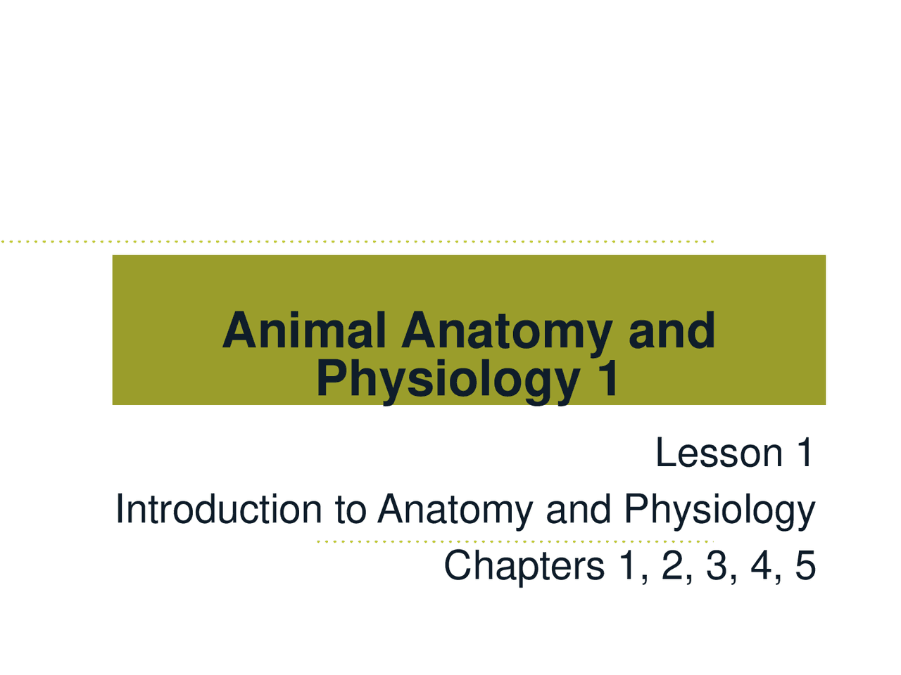 VET-113 Animal Anatomy and Physiology 1 | Summaries Animal Anatomy and ...