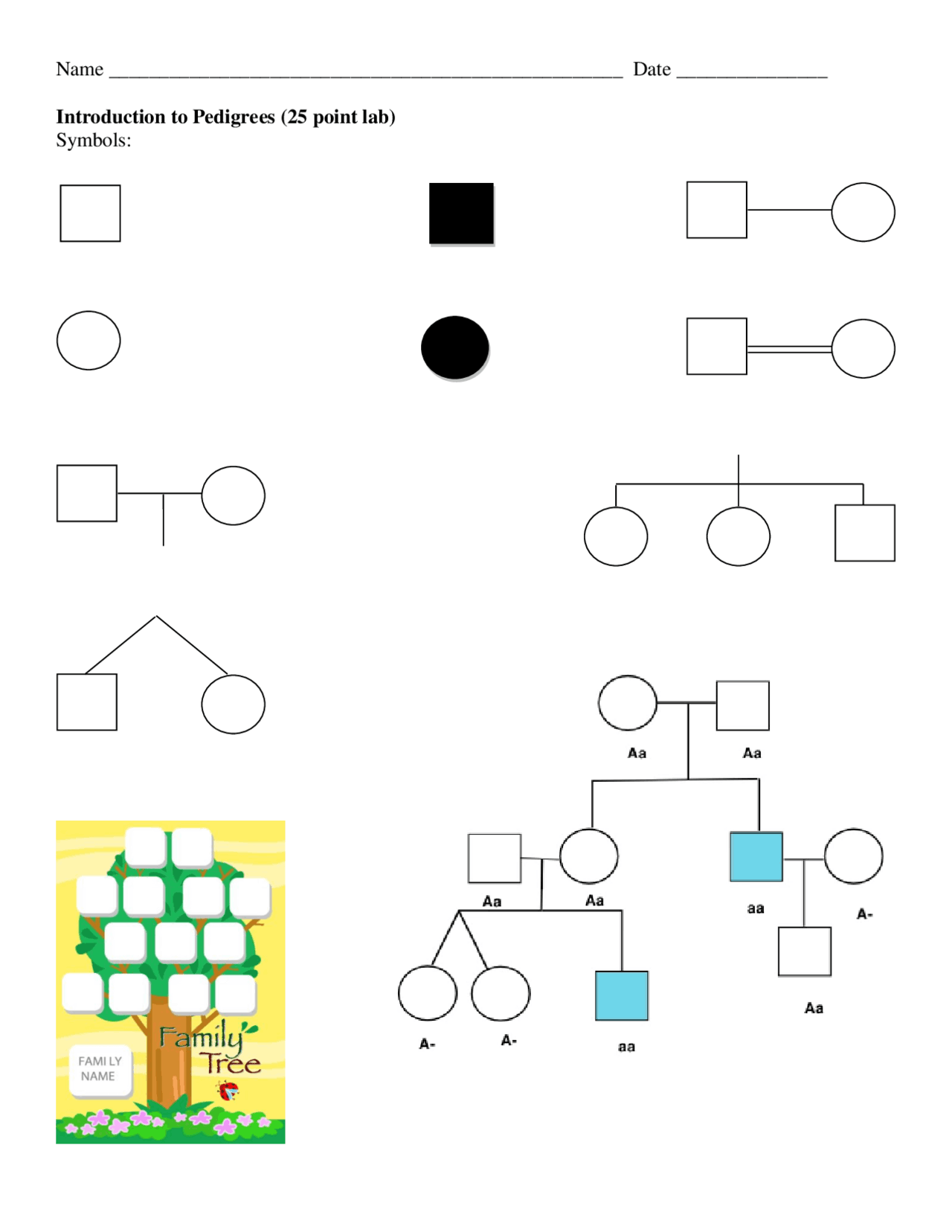 Pedigree Worksheet | Study Guides, Projects, Research Genetics | Docsity