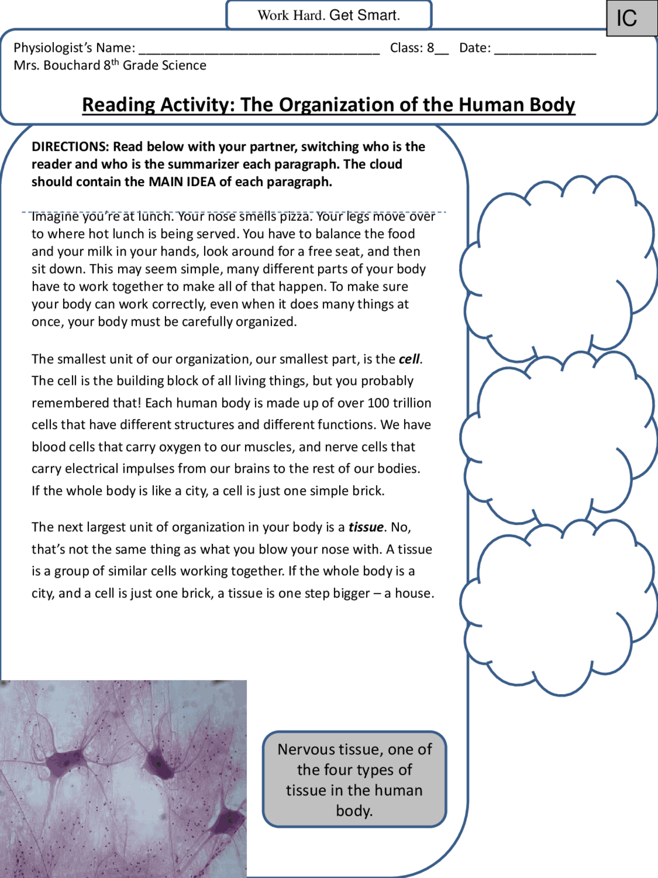Reading Activity: The Organization of the Human Body IC | Study notes ...