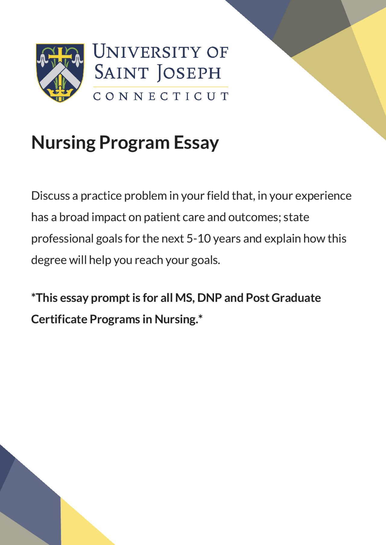 Impact of a Practice Problem on Patient Care and Nursing Goals | Summaries Nursing | Docsity