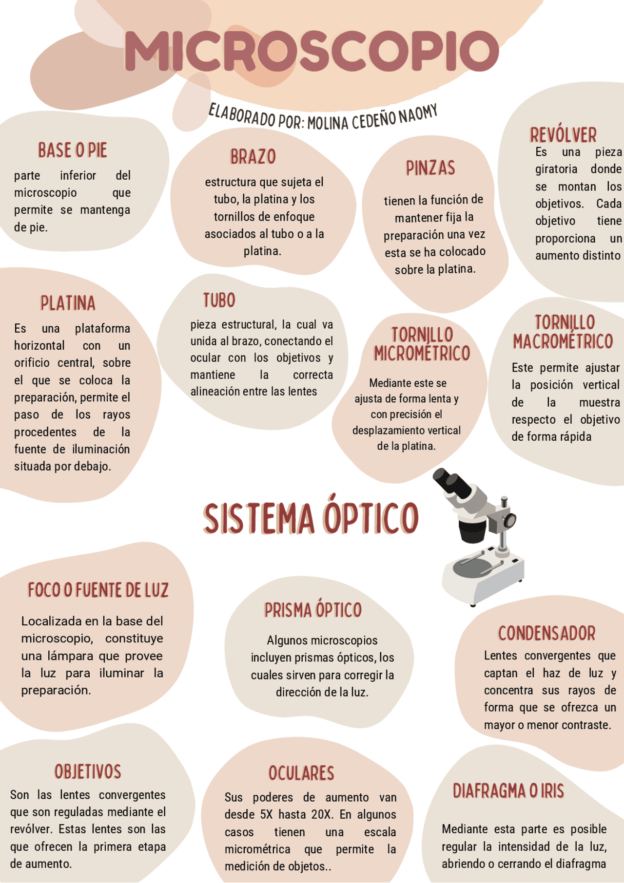 Partes de un microscopios | Esquemas y mapas conceptuales de Biología ...