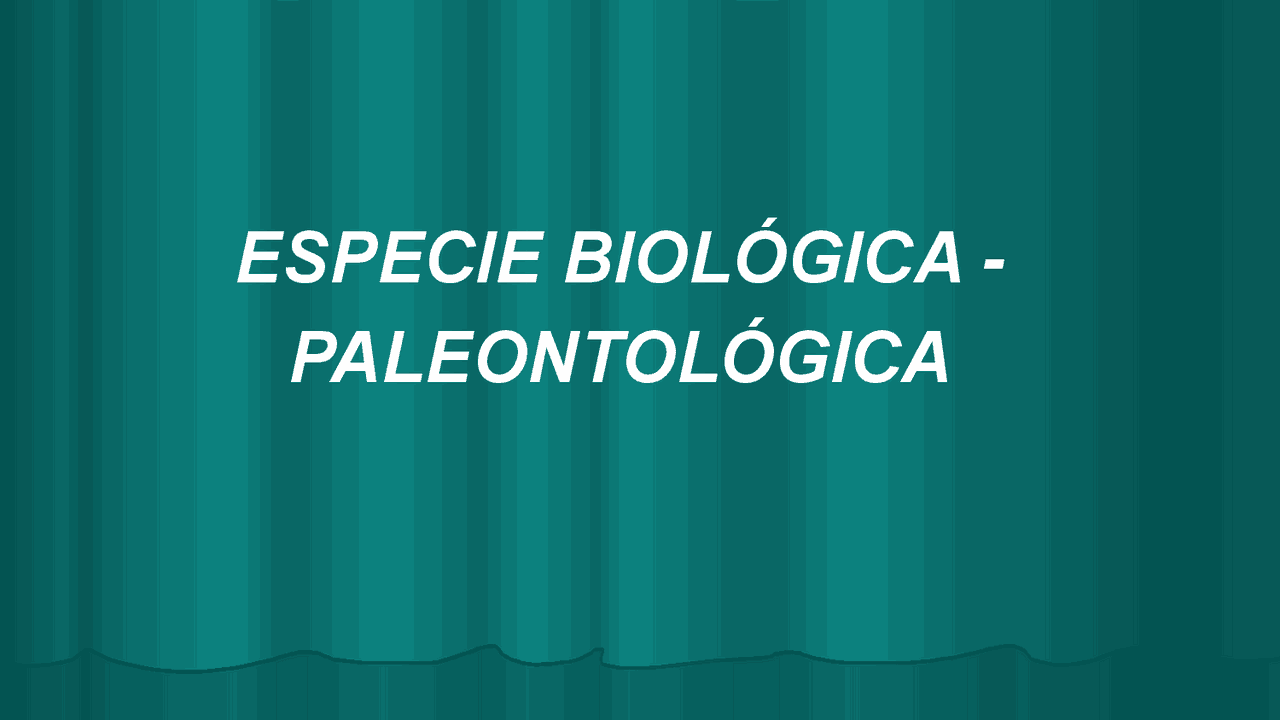 Especies, variación, ontogenia y heterocronía | Resúmenes de ...