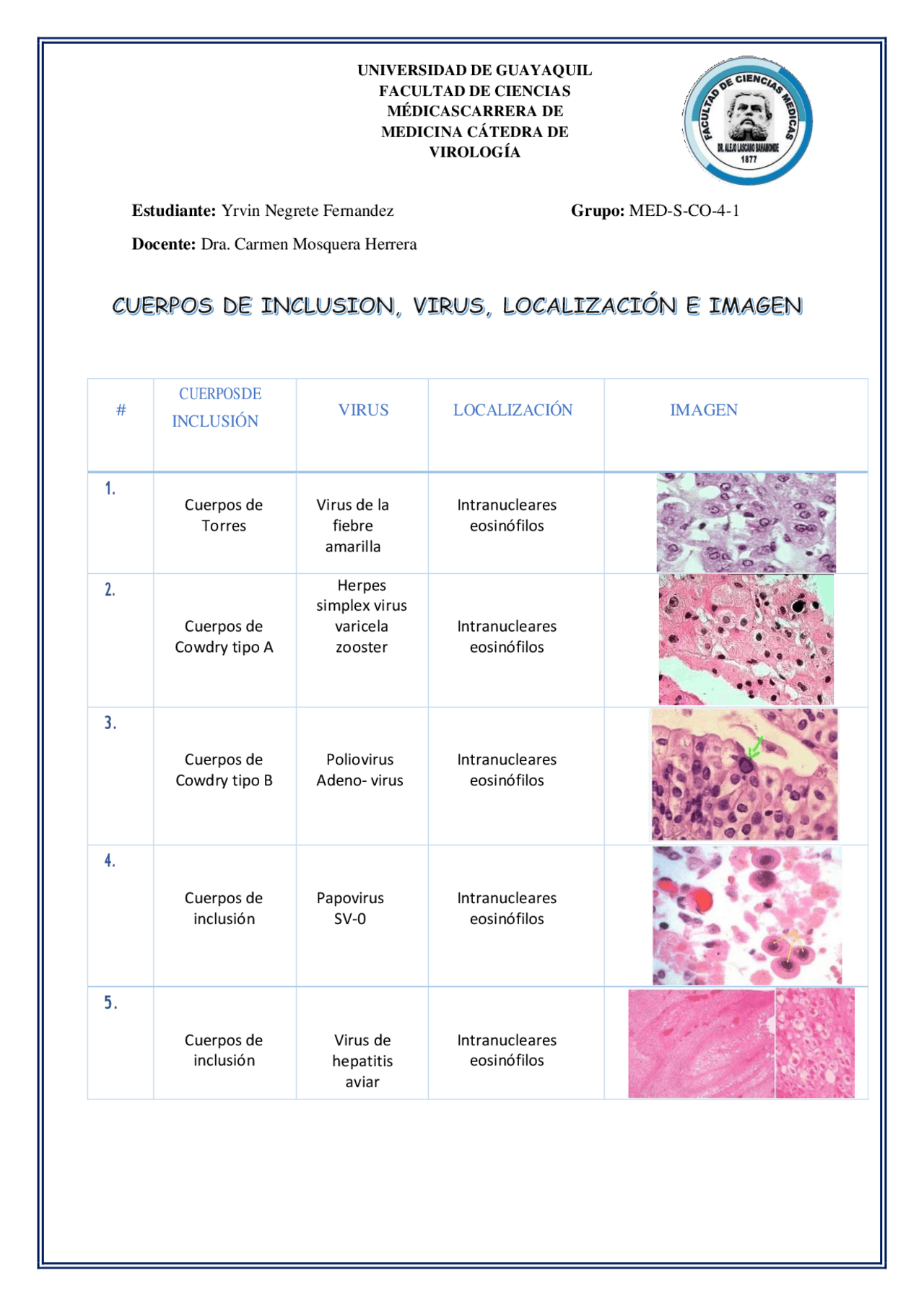 Cuerpos De Inclusion Virus LocalizaciÓn E Imagen Transcripciones De