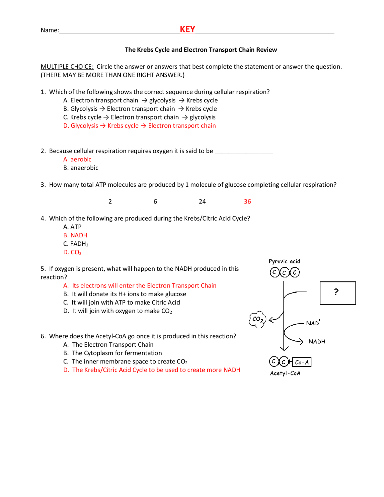 Kreb_cycle_and_etc_review_key... | Exercises Cellular and Molecular ...