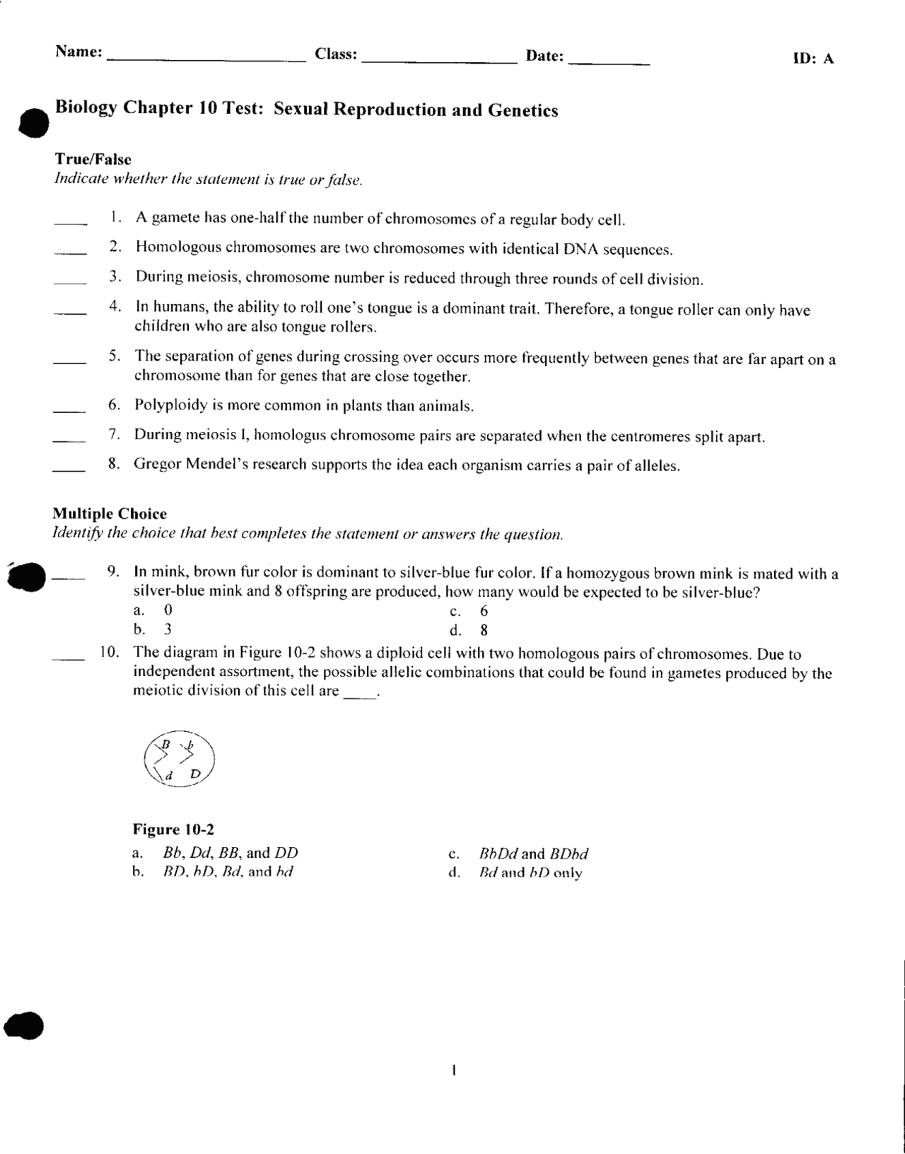Biology Chapter 10 Test: Sexual Reproduction and Genetics | Schemes and ...