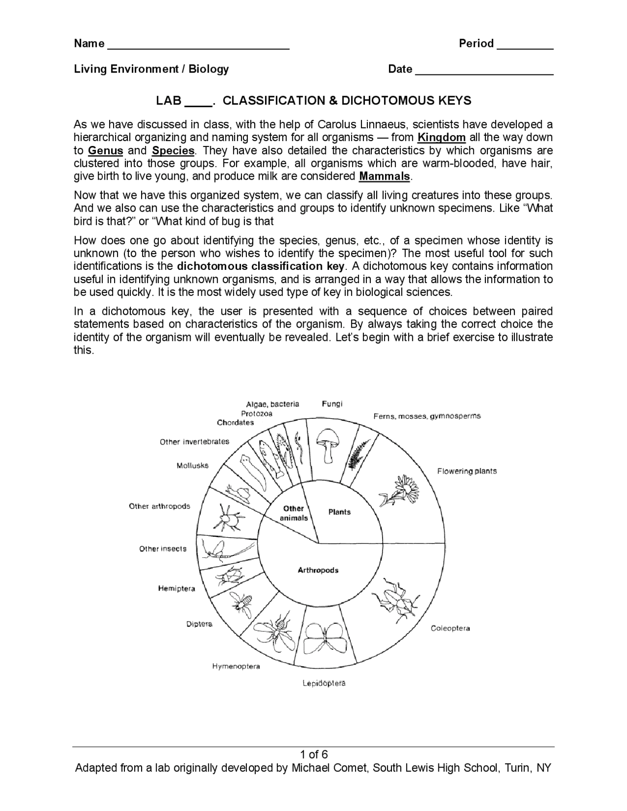 LAB ____. CLASSIFICATION & DICHOTOMOUS KEYS | Lecture notes Biology ...