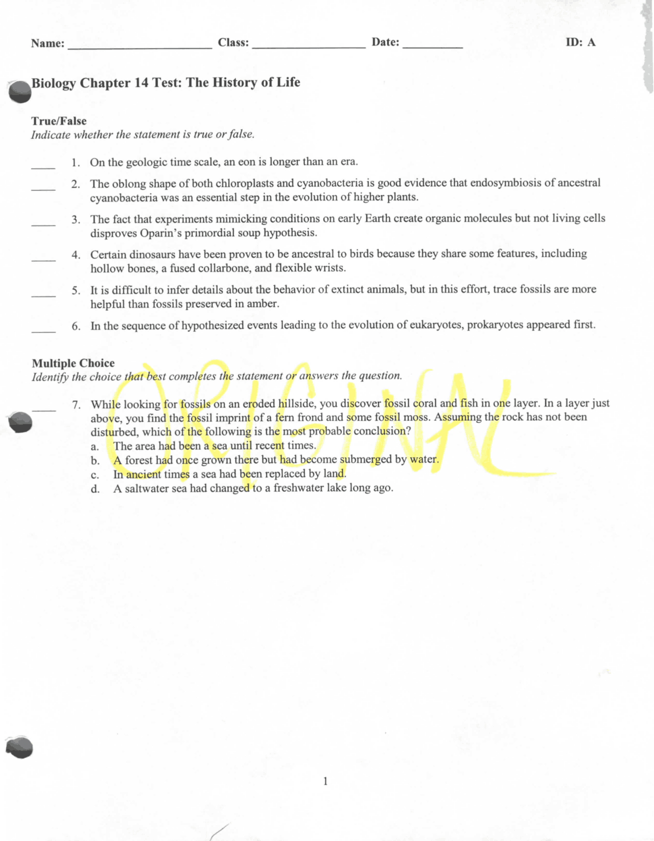 .Biology Chapter 14 Test: The History of Life | Lecture notes Biology ...