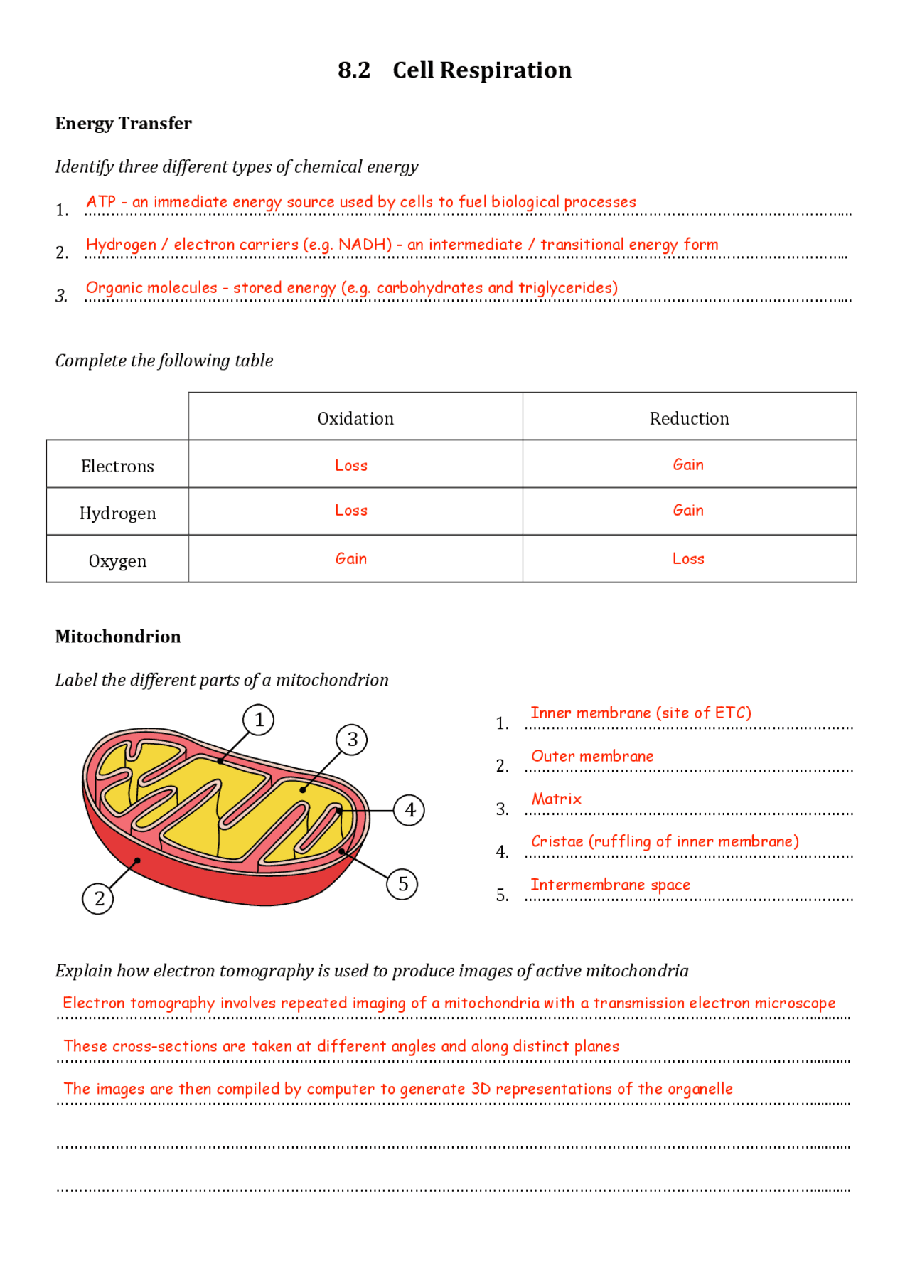 topic 8.2 answers | Exercises Cell Biology | Docsity