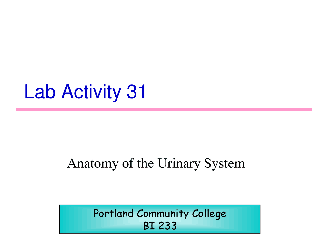 Exercise 40 Lecture Notes Anatomy Docsity