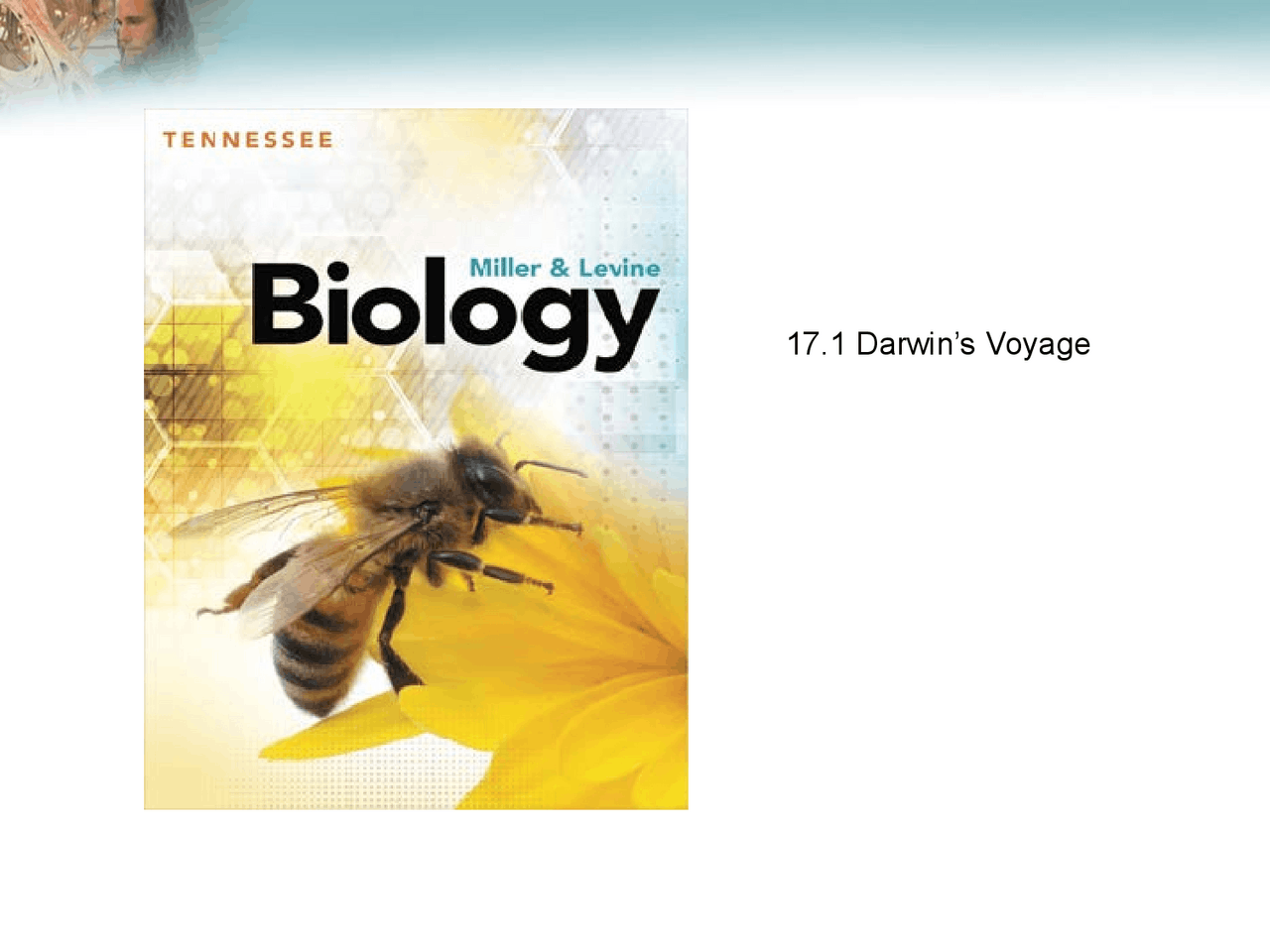 Darwin's Voyage of Discovery | Lecture notes Evolutionary biology | Docsity