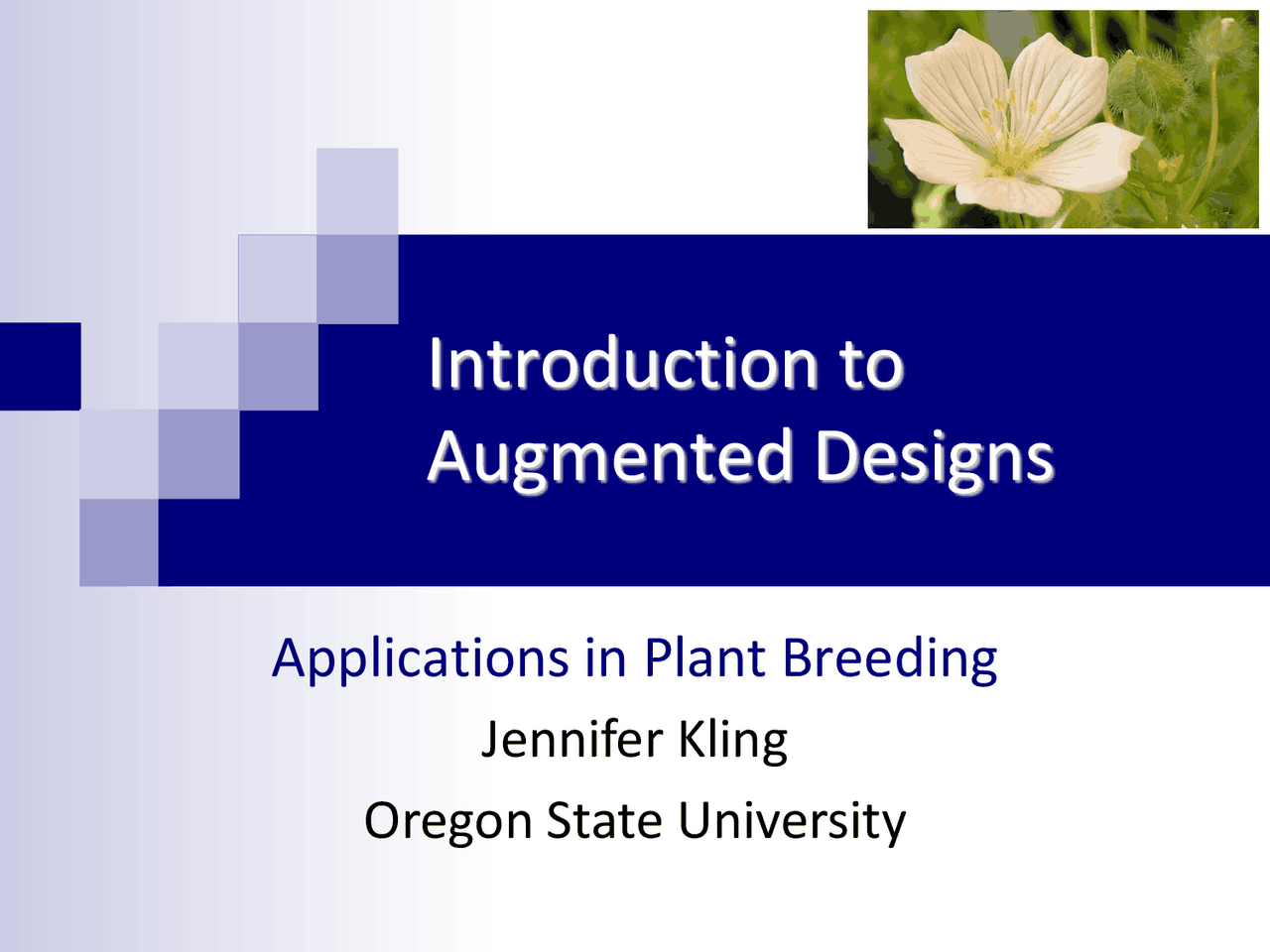 Augmenteddesignsfinalpdf Schemes And Mind Maps Design Docsity