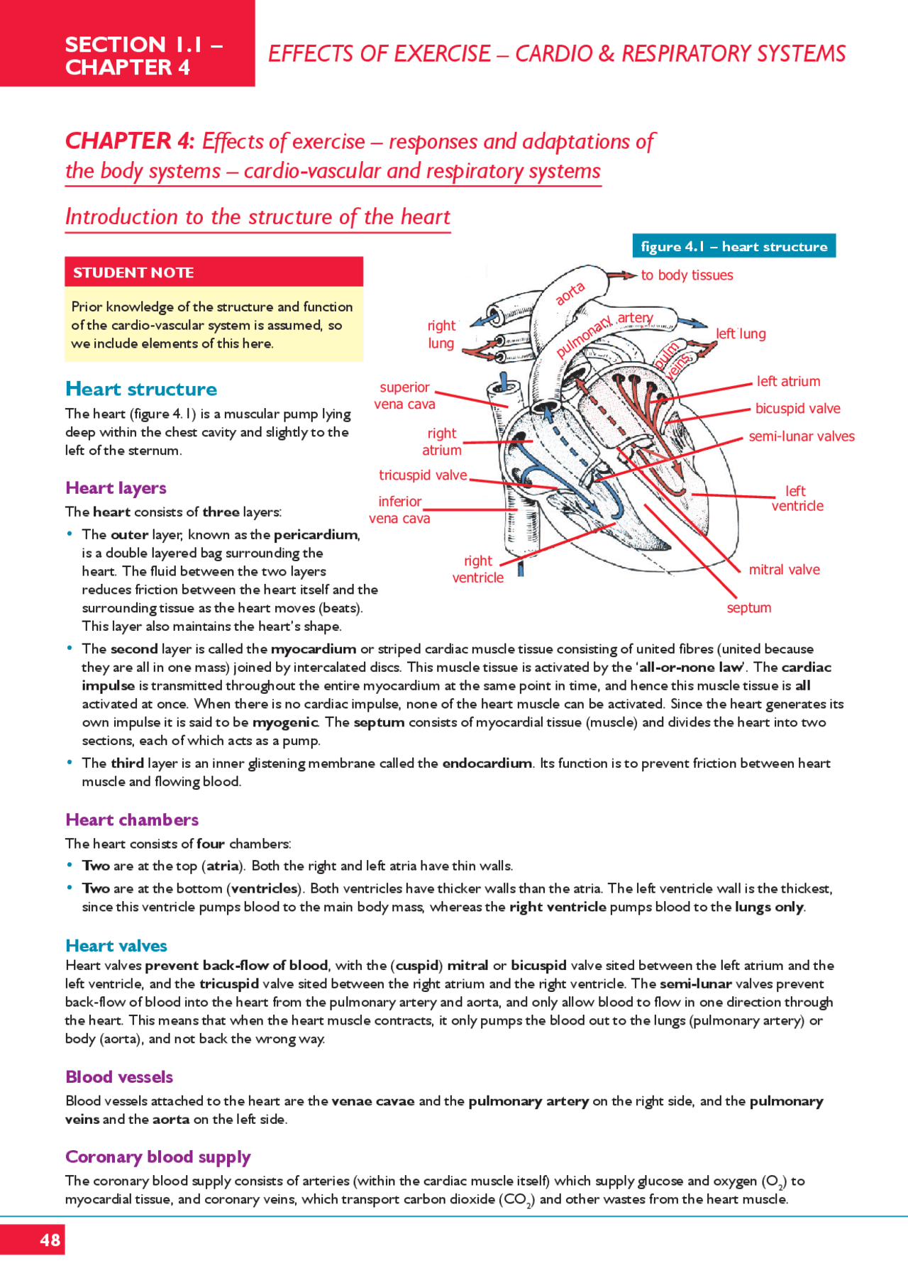 effects of exercise – cardio & respiratory systems | Exercises Law ...
