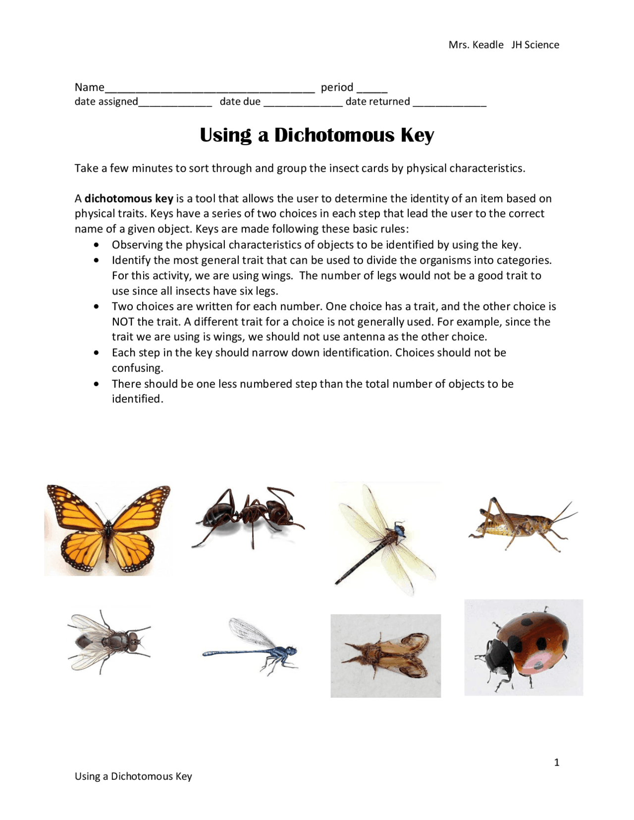 Using a Dichotomous Key | Lecture notes Animal Biology | Docsity
