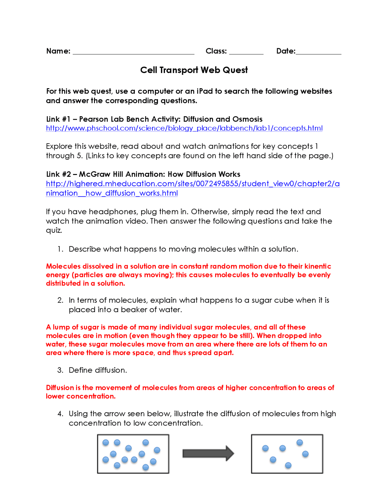Cell Transport Web Quest | Schemes and Mind Maps Cell Biology | Docsity