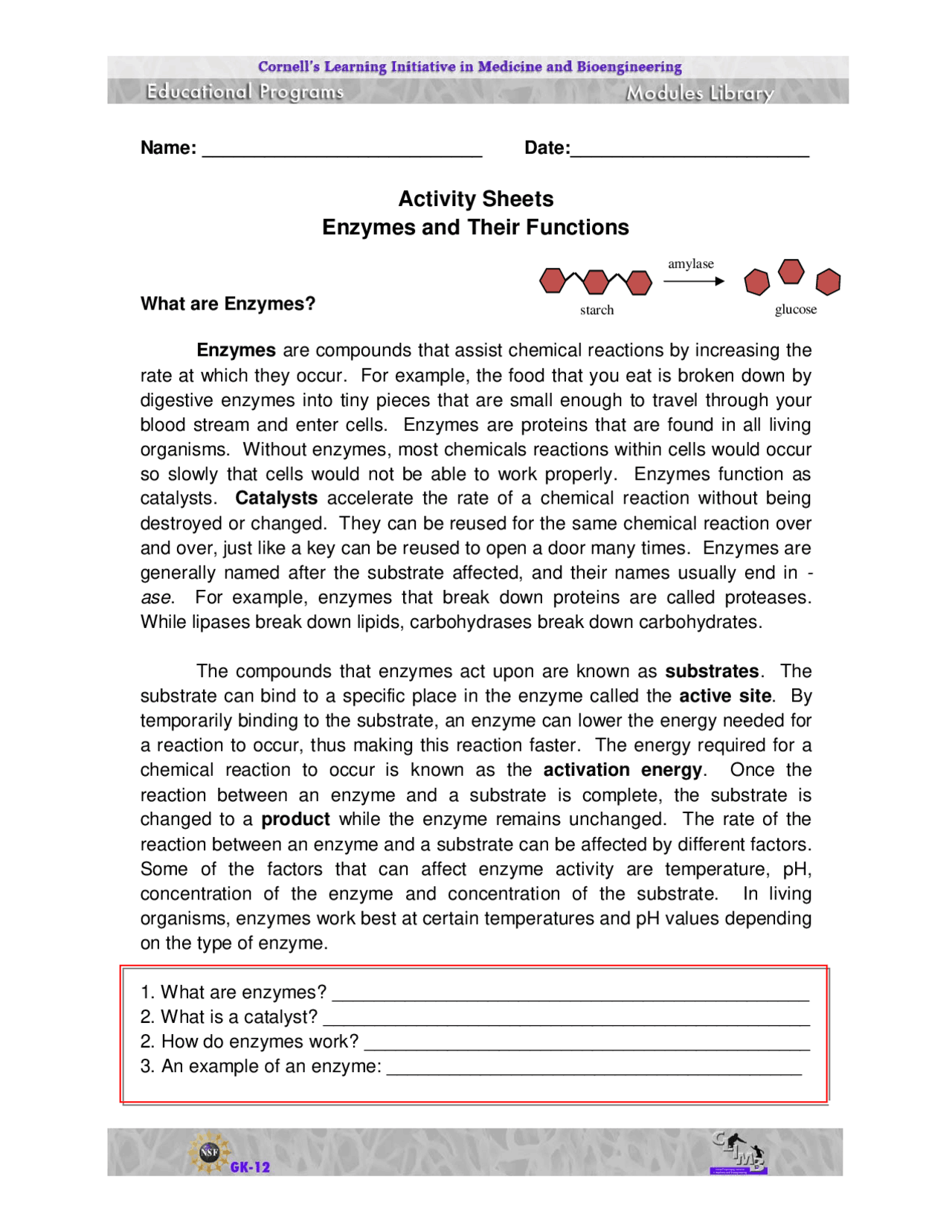 Enzymes And Their Functions Schemes And Mind Maps Design Docsity