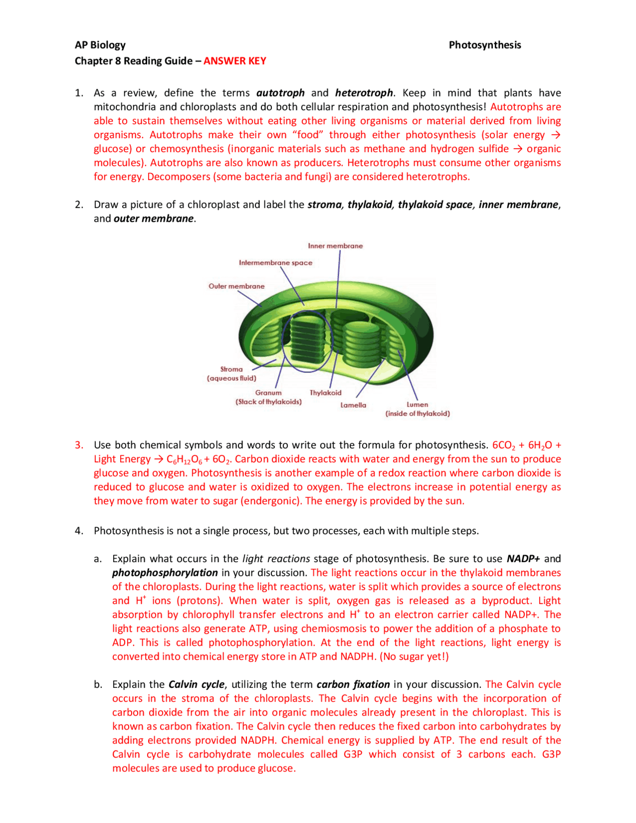 AP Biology Photosynthesis Chapter 8 Reading Guide Exercises Biology AP Biology Photosynthesis Chapter 8 Reading Guide Exercises Biology