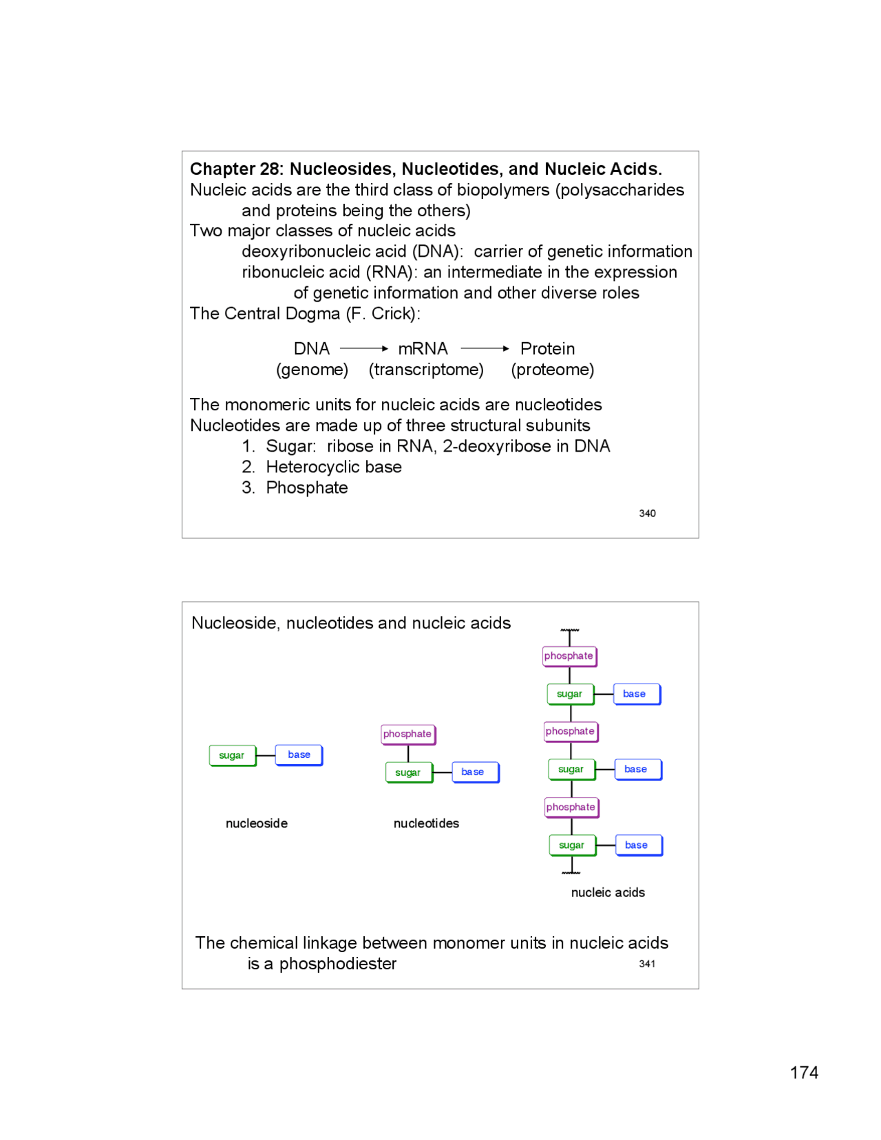 Chapter 28: Nucleosides, Nucleotides, and Nucleic Acids. | Slides Stereochemistry | Docsity